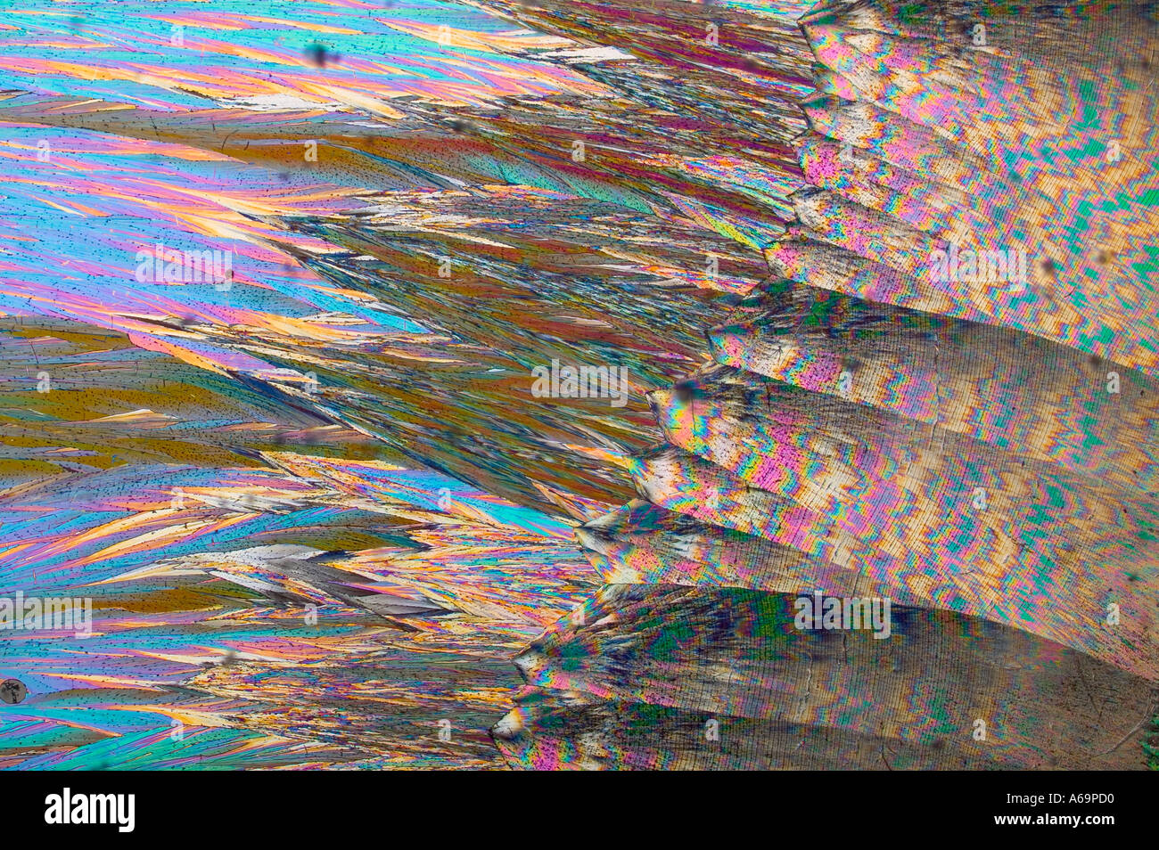 Hippuric acid hi-res stock photography and images - Alamy