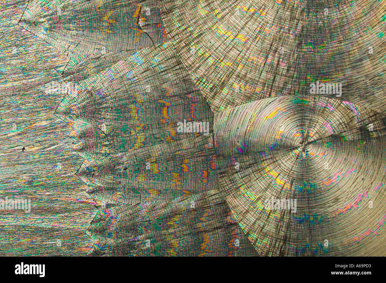 Hippuric acid hi-res stock photography and images - Alamy