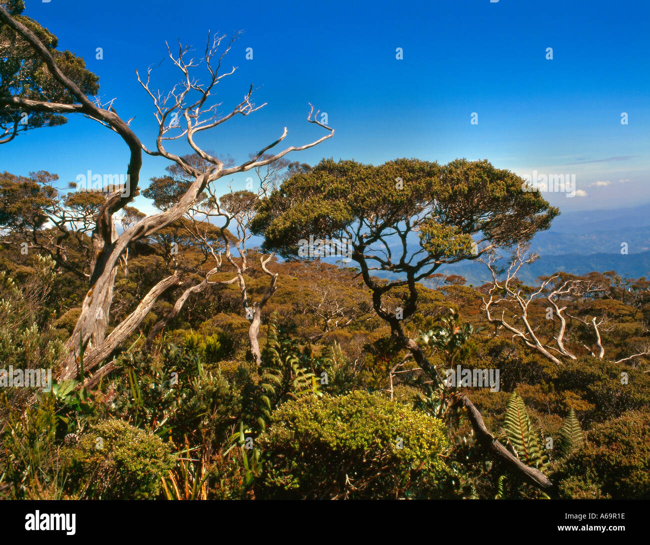 View from gunung kinabalu hi-res stock photography and images - Alamy