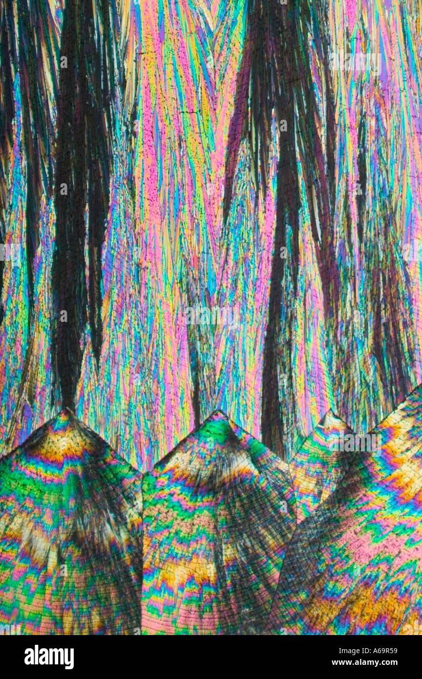 Hippuric acid crystals photomicrograph crossed polarized lighting Stock ...