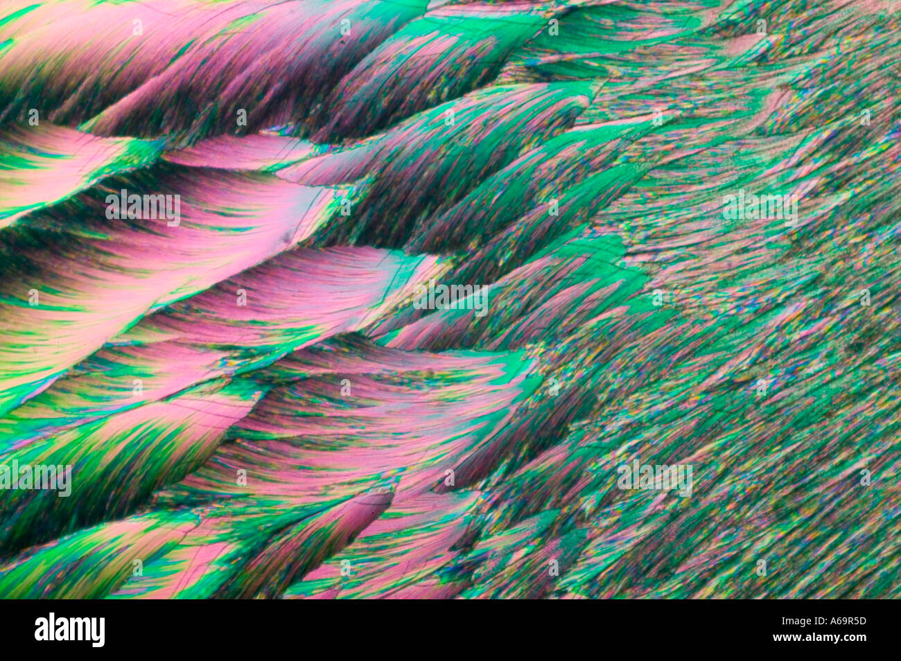 Hippuric acid hi-res stock photography and images - Alamy