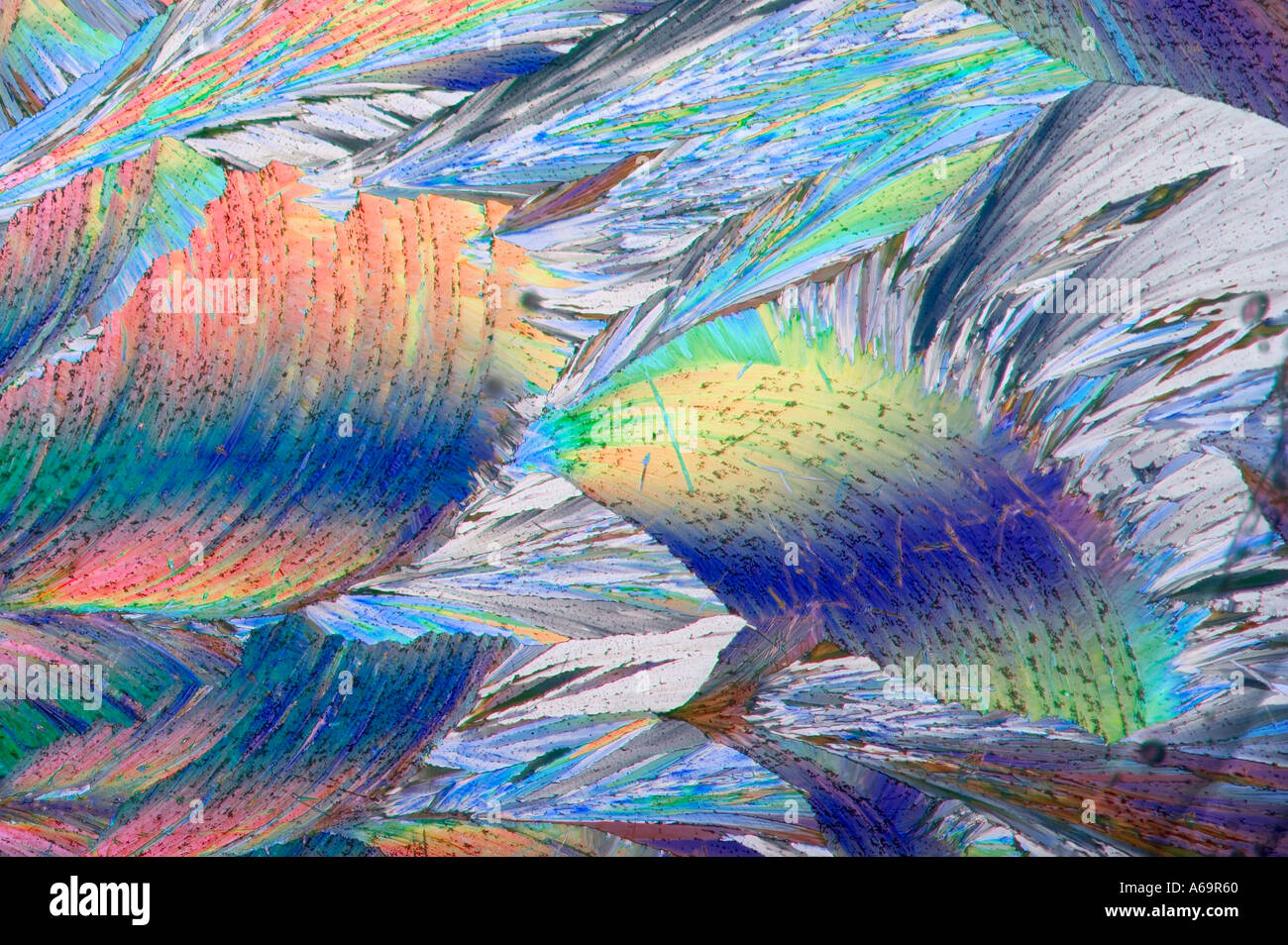 Hippuric acid crystals photomicrograph crossed polarized lighting Stock ...