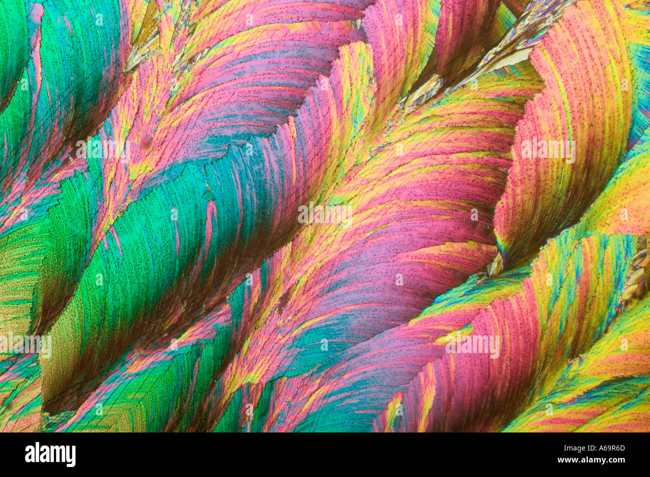 Hippuric acid hi-res stock photography and images - Alamy