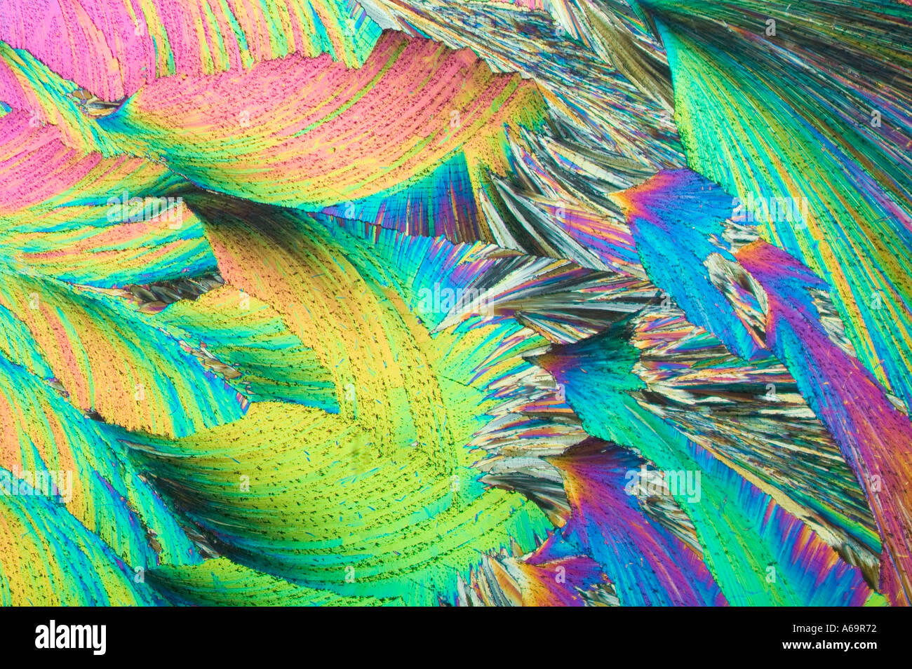 Hippuric hi-res stock photography and images - Alamy