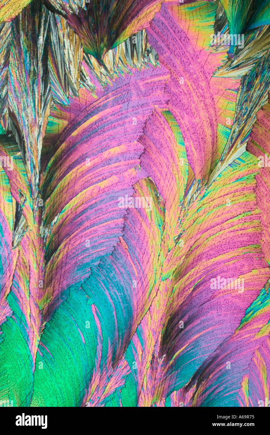 Hippuric acid photomicrograph crossed polarized lighting Stock Photo ...