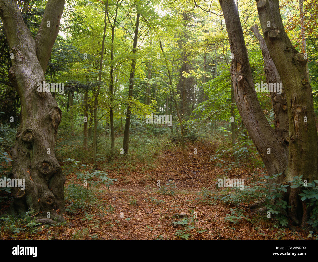 Kingdom view hi-res stock photography and images - Alamy