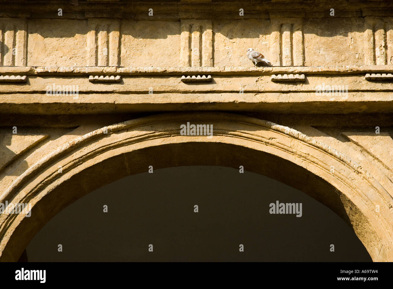 Neoclassic arch (18th century) with a pigeon, Seville, Spain Stock ...