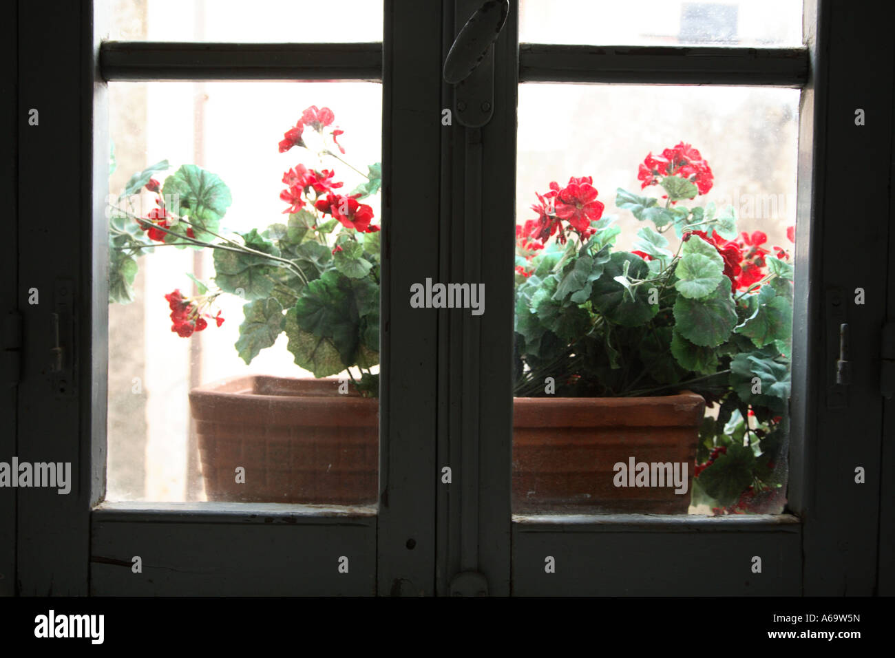 flowers on a balcony window Stock Photo - Alamy