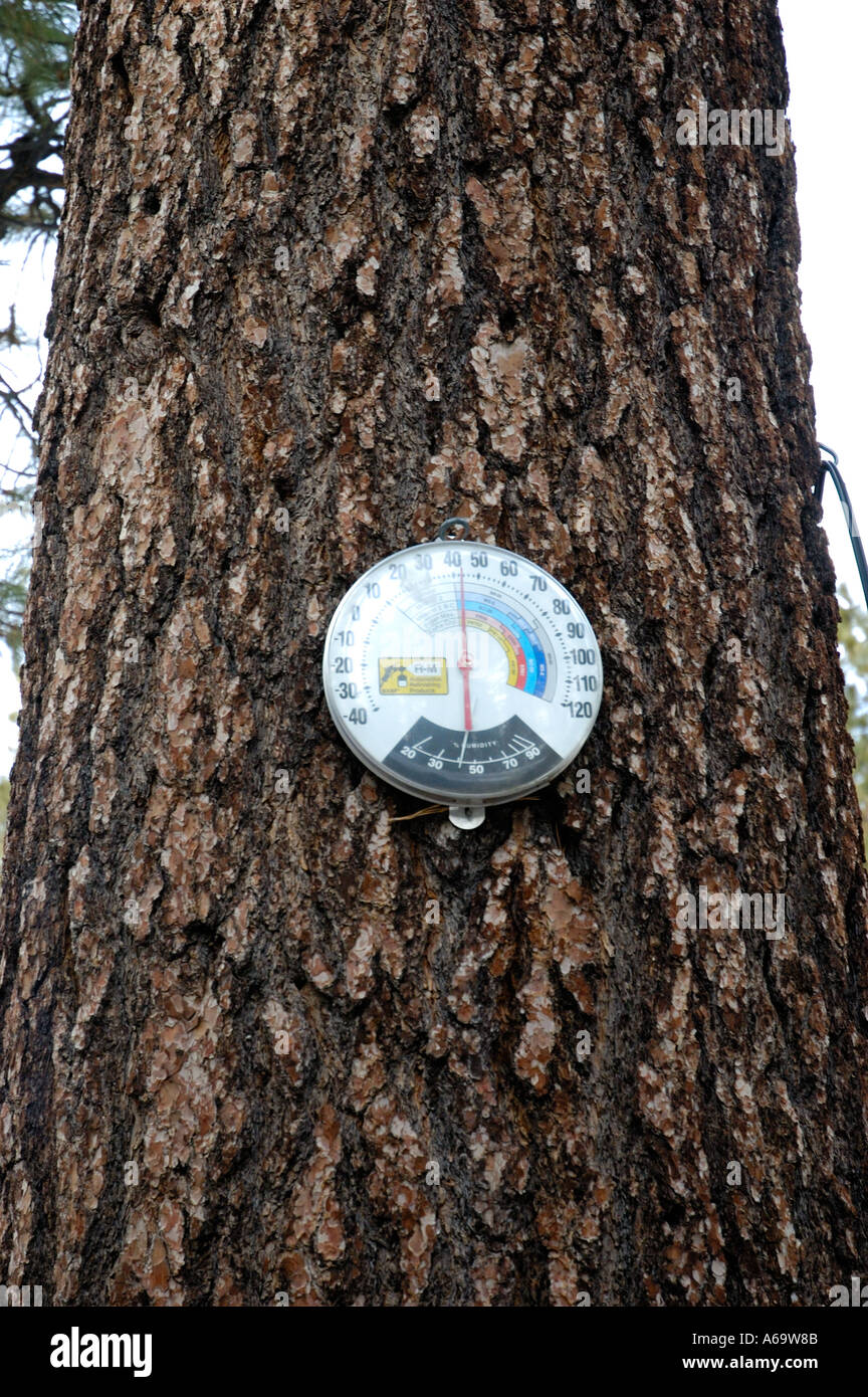 Weather instrument attached to a tree Stock Photo - Alamy