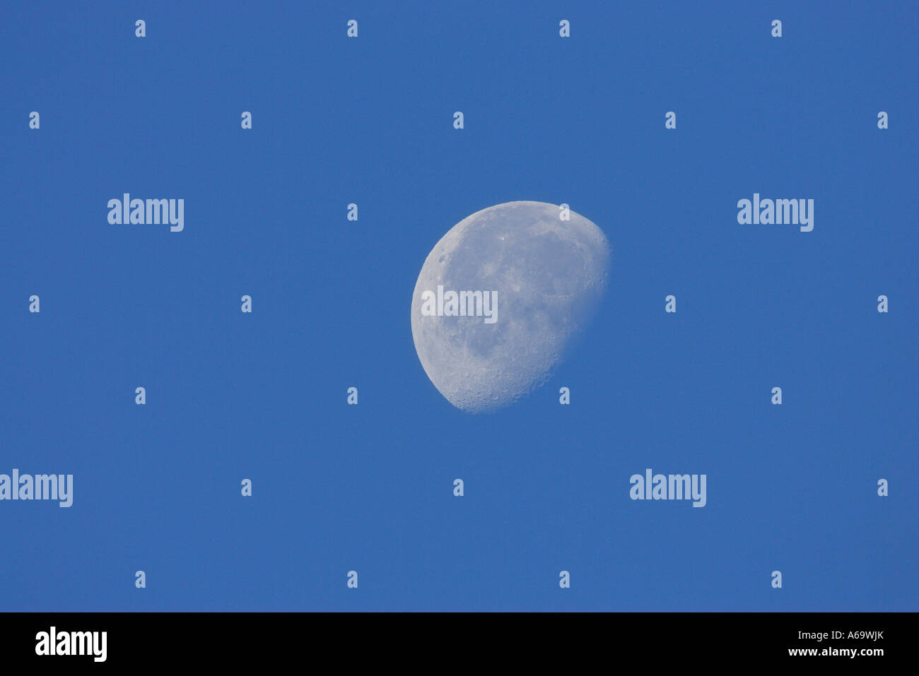 The Moon in the daytime Stock Photo - Alamy