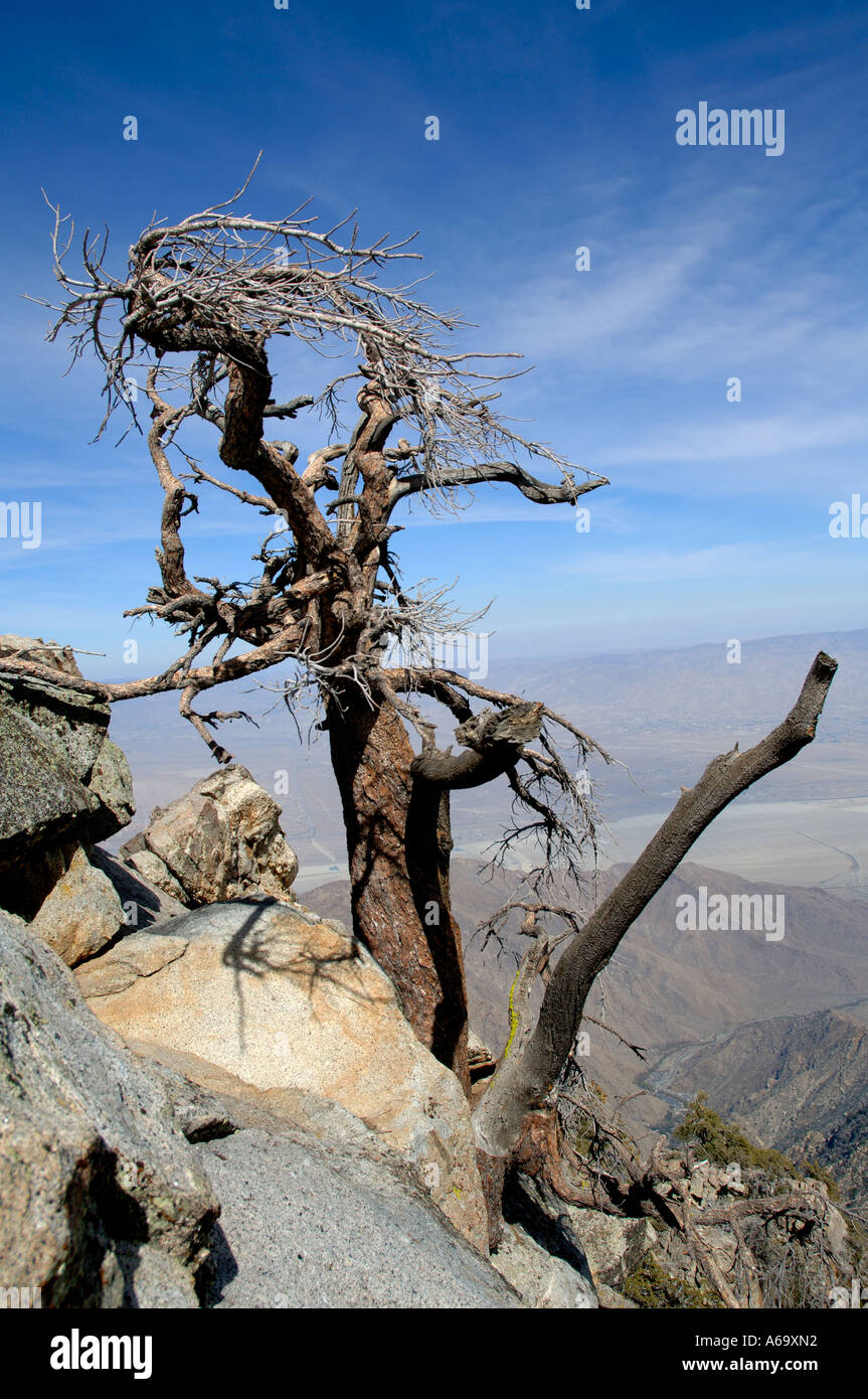 Mount san jacinto joshua tree hi-res stock photography and images - Alamy