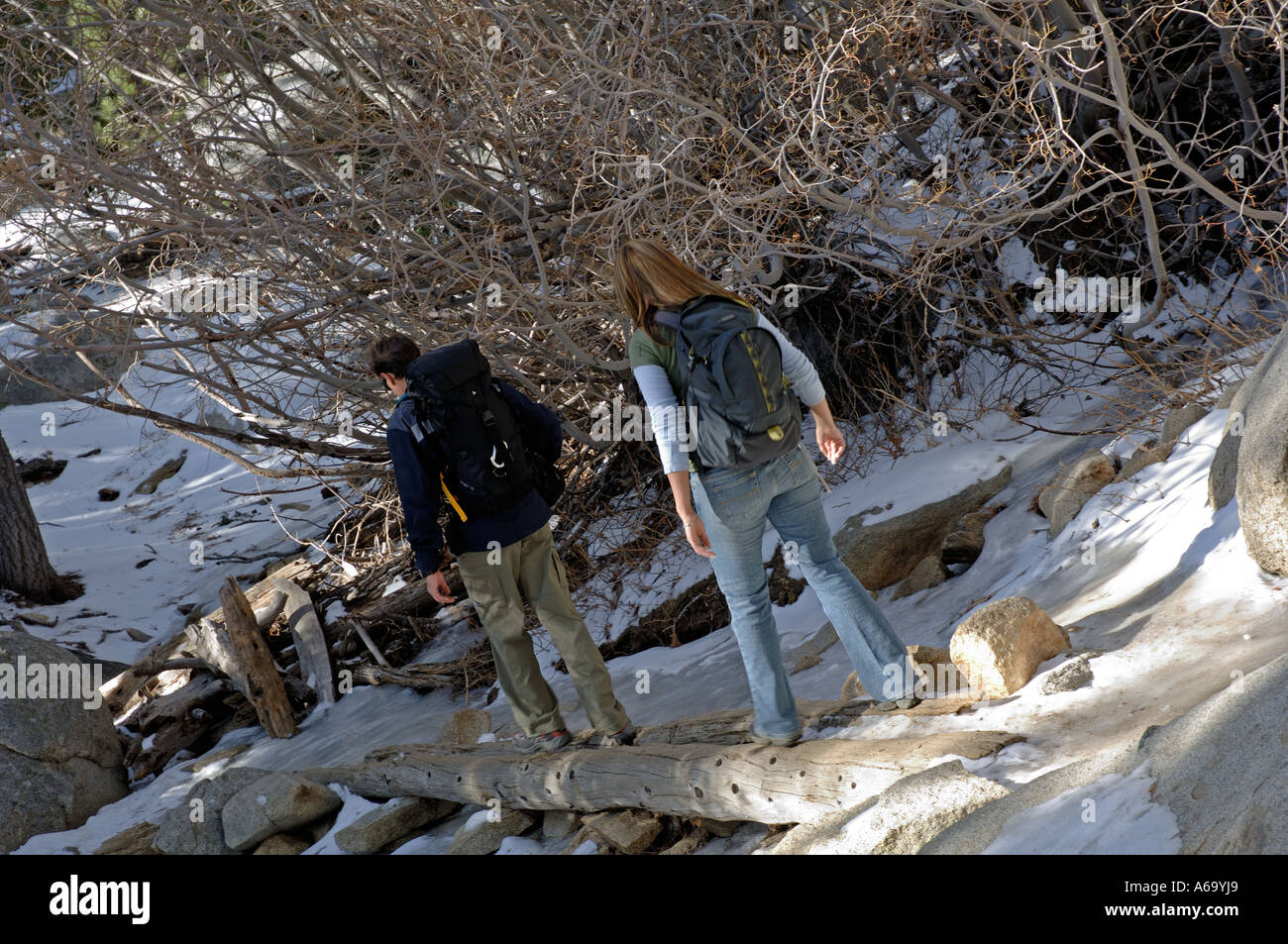 Couple crossing stream on log Stock Photo - Alamy