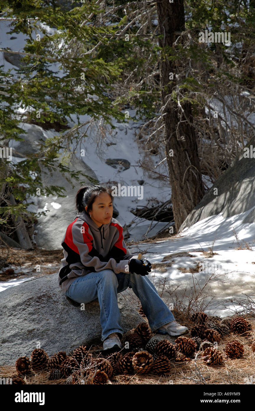 Young Asian woman sitting on rock eating surrounded of pine cones in ...