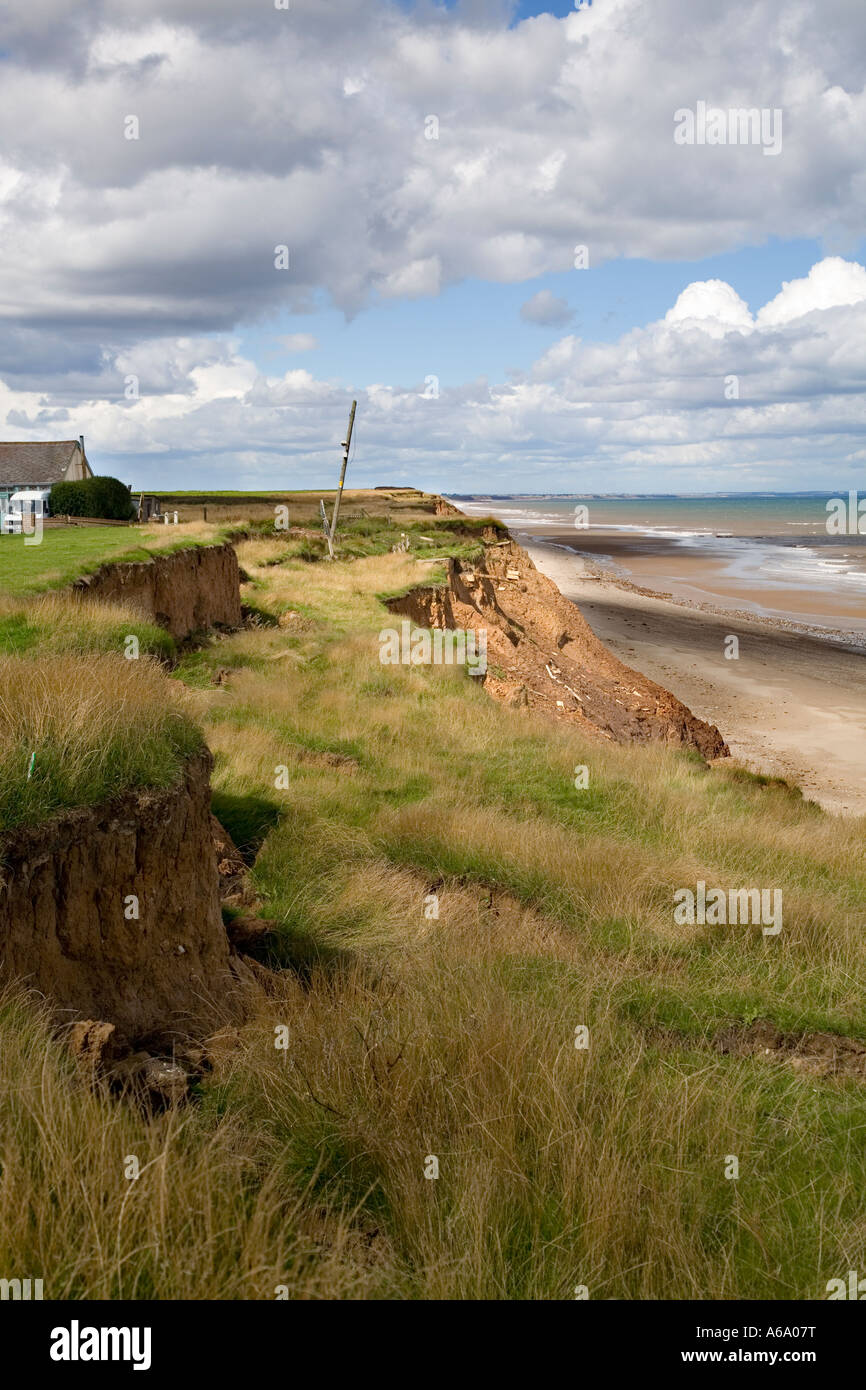The collapsing cliff edge at Aldbrough, Yorkshire, UK. Erosion of the ...
