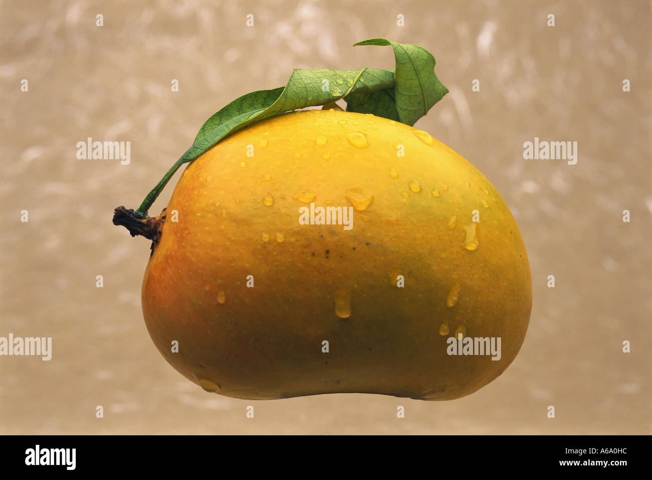 Alphonso Mango Wallpaper