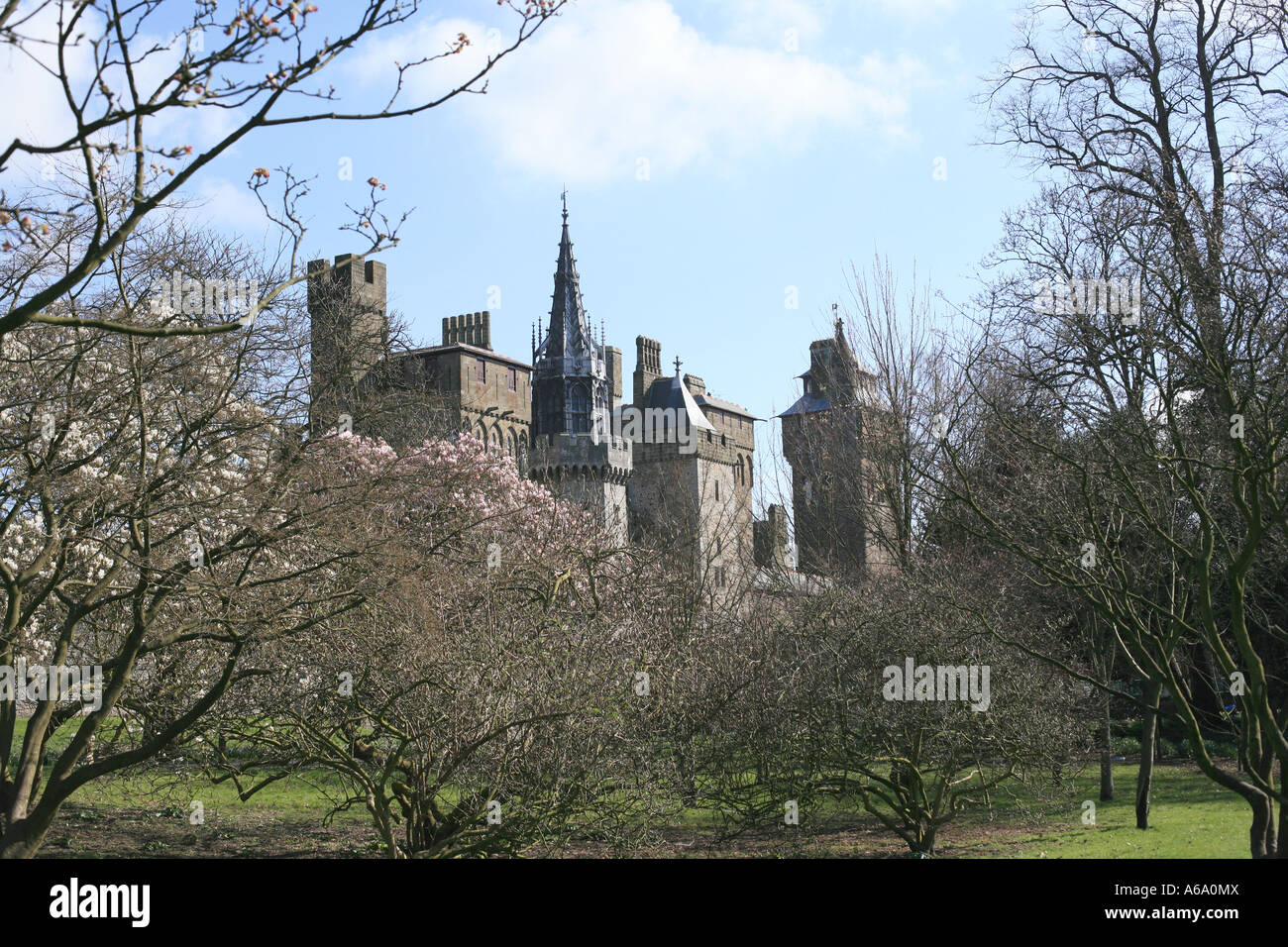 Cardiff castle from Bute park Stock Photo - Alamy