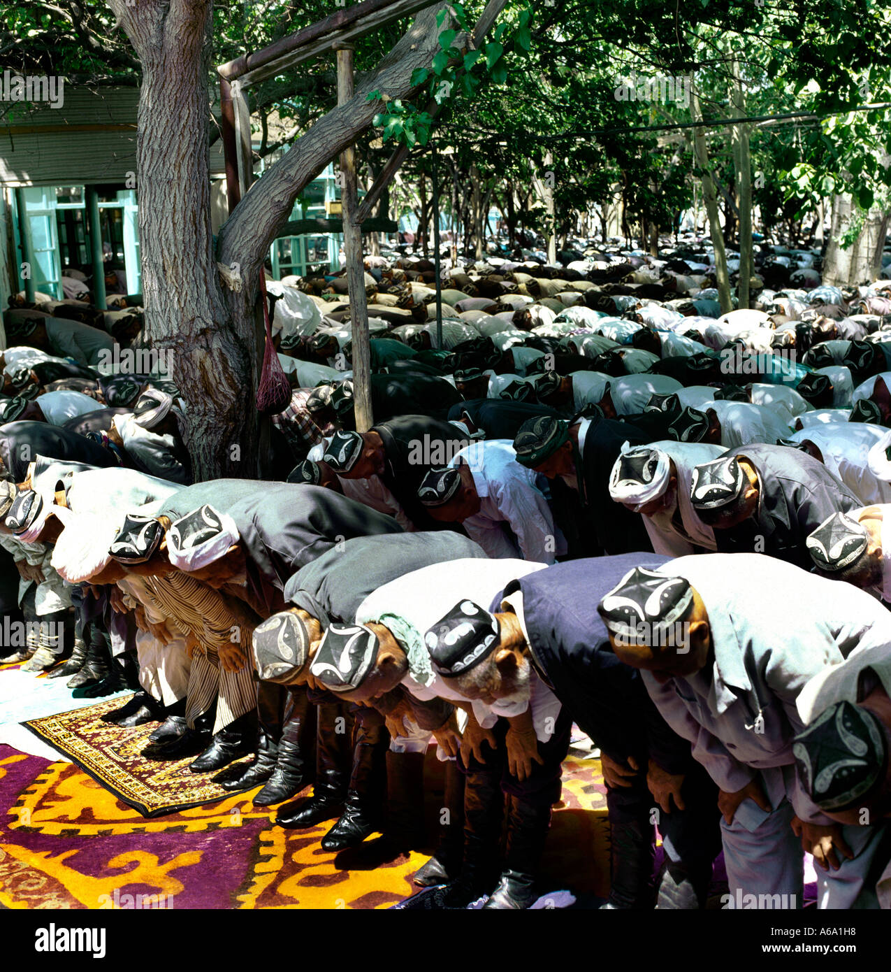 Tashkent Uzbekistan Muslims Praying In Mosque Courtyard Stock Photo - Alamy