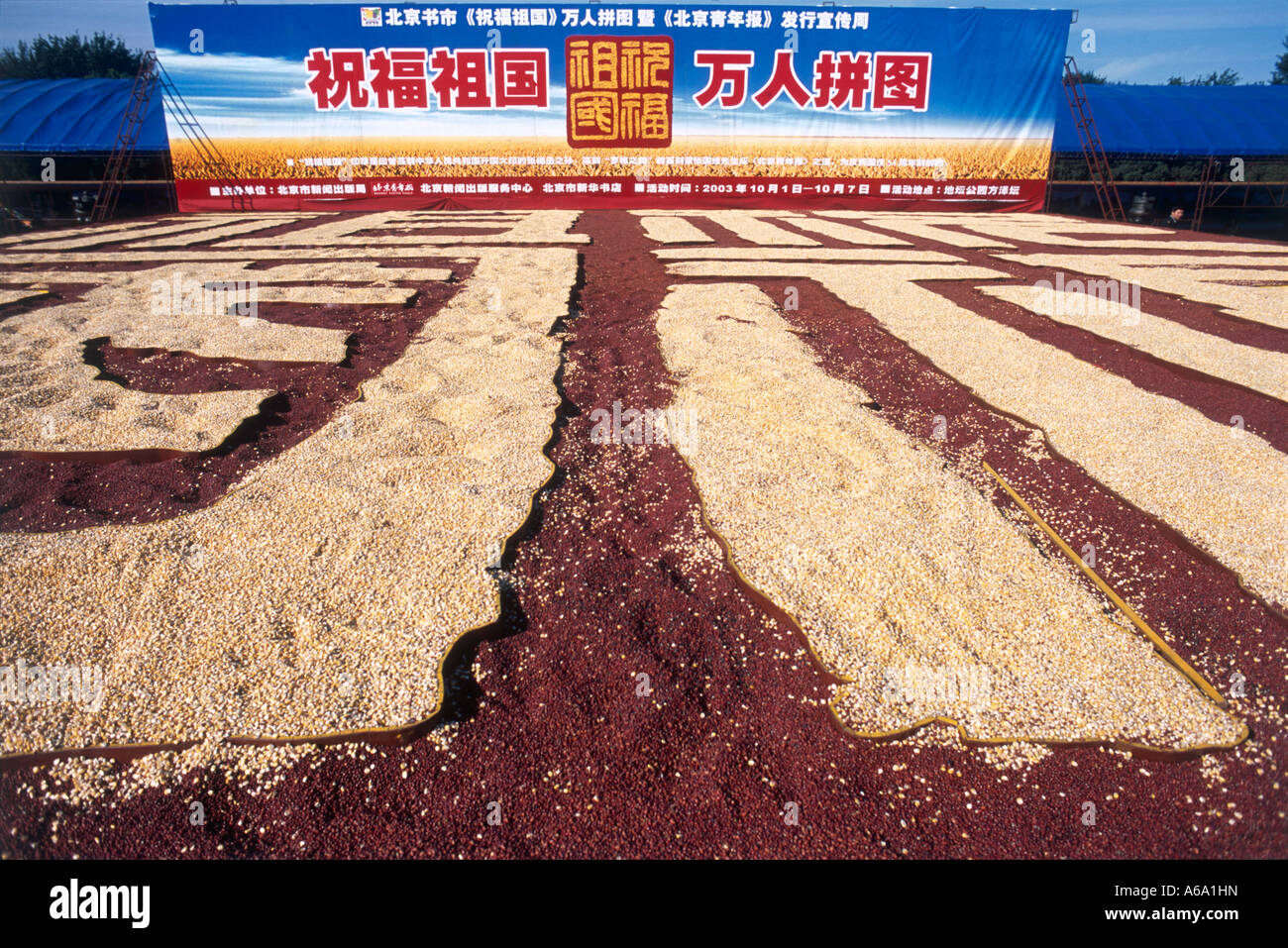 Corn laid out to form chinese characters during temple festival hi-res ...