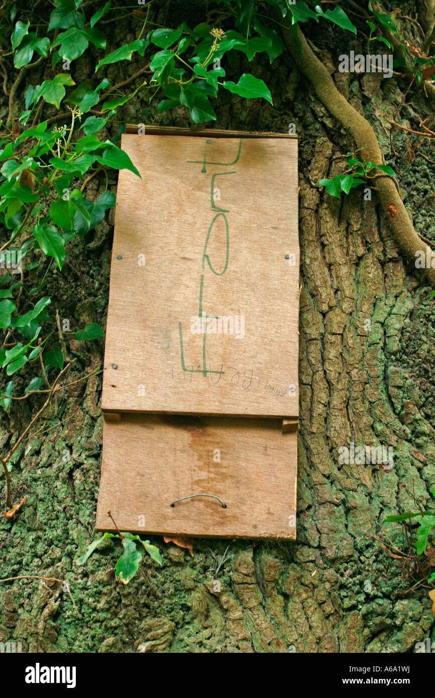 BAT BOX ON OAK TREE Stock Photo - Alamy