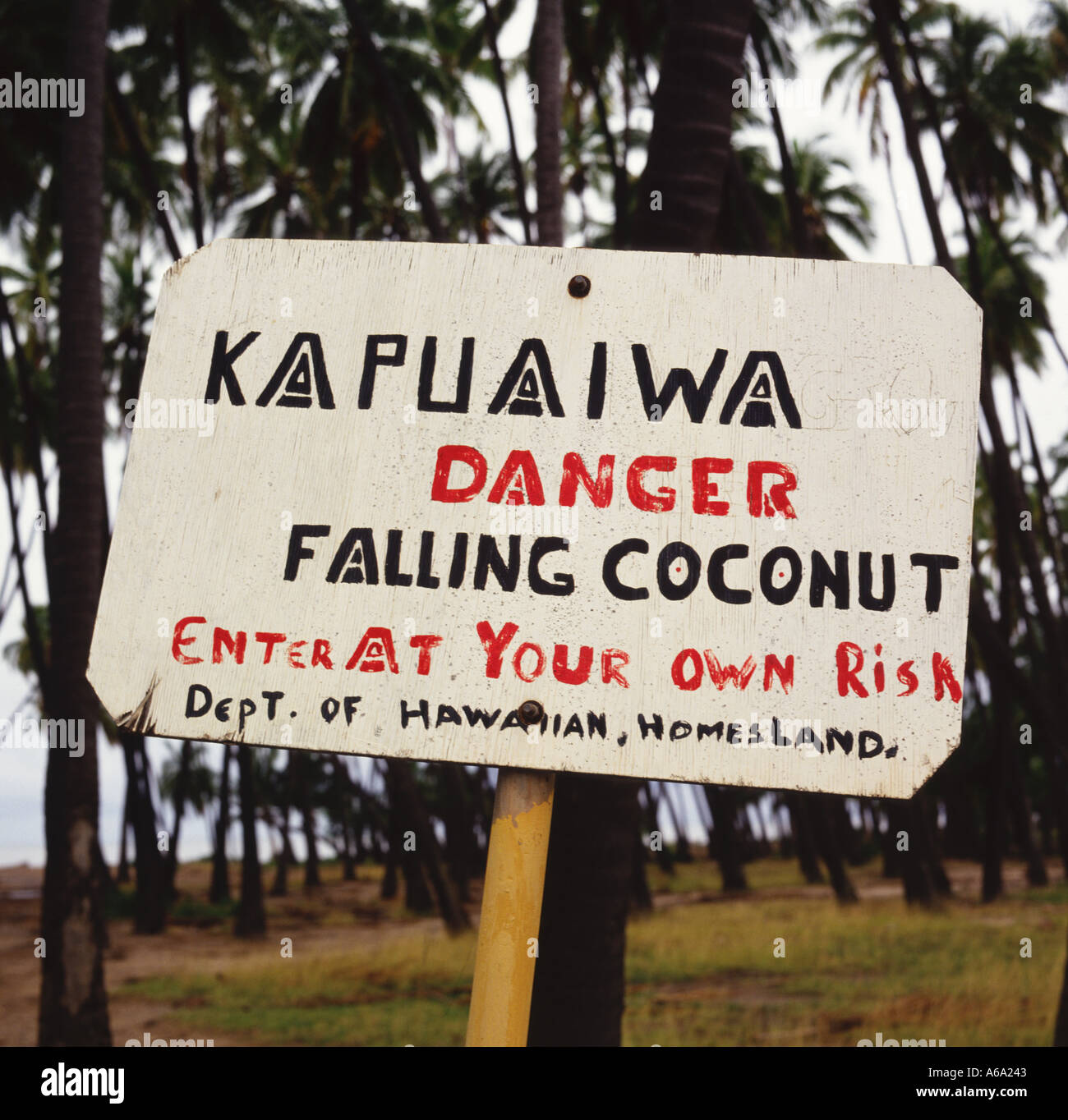 Painted sign saying Danger of Falling Coconuts Enter at Your Own Risk ...