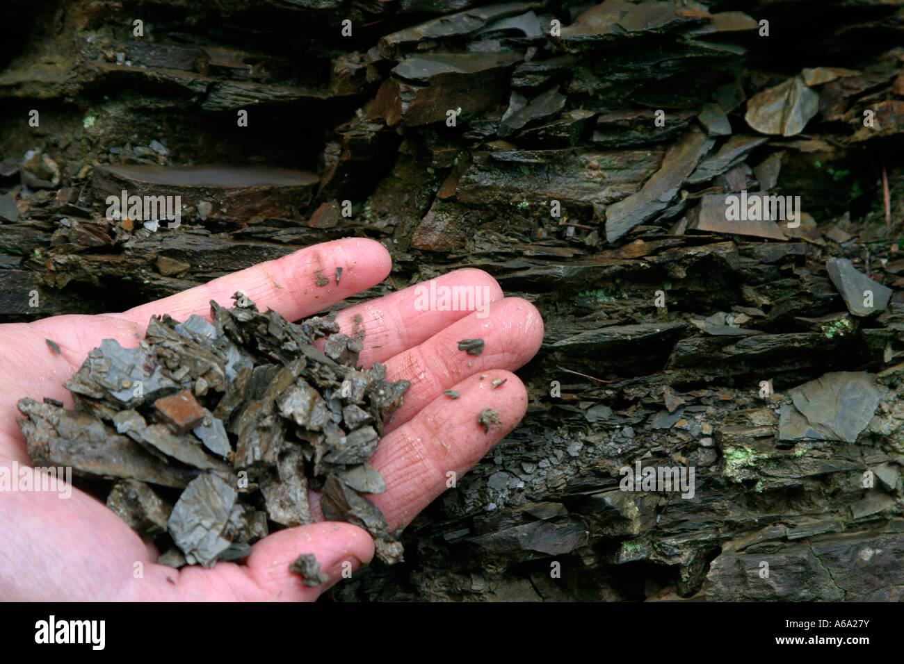 Soil formation hi-res stock photography and images - Alamy