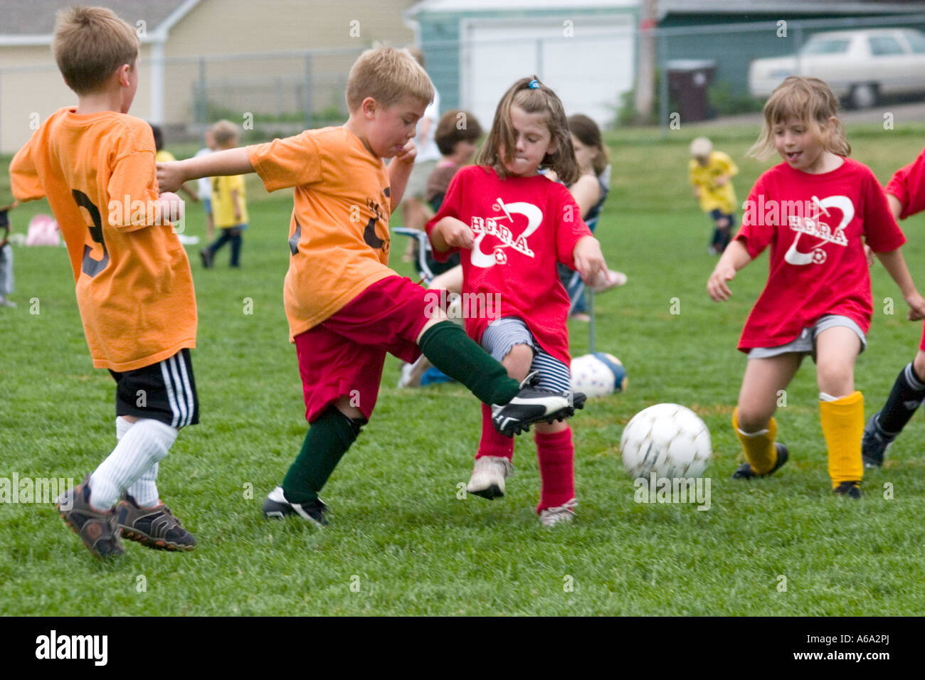 Non traditional gender role hi-res stock photography and images - Alamy
