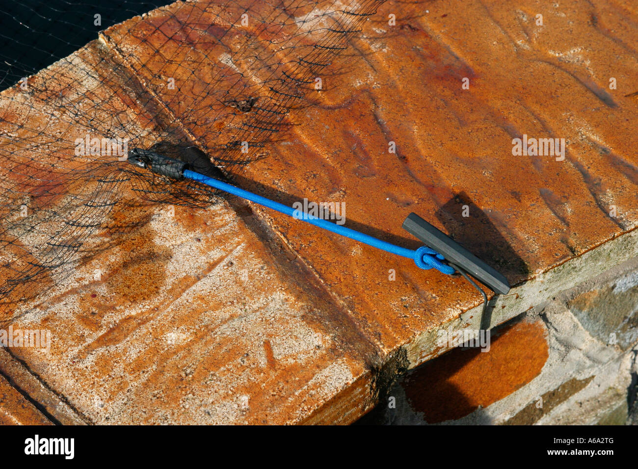 Pond netting hi-res stock photography and images - Alamy