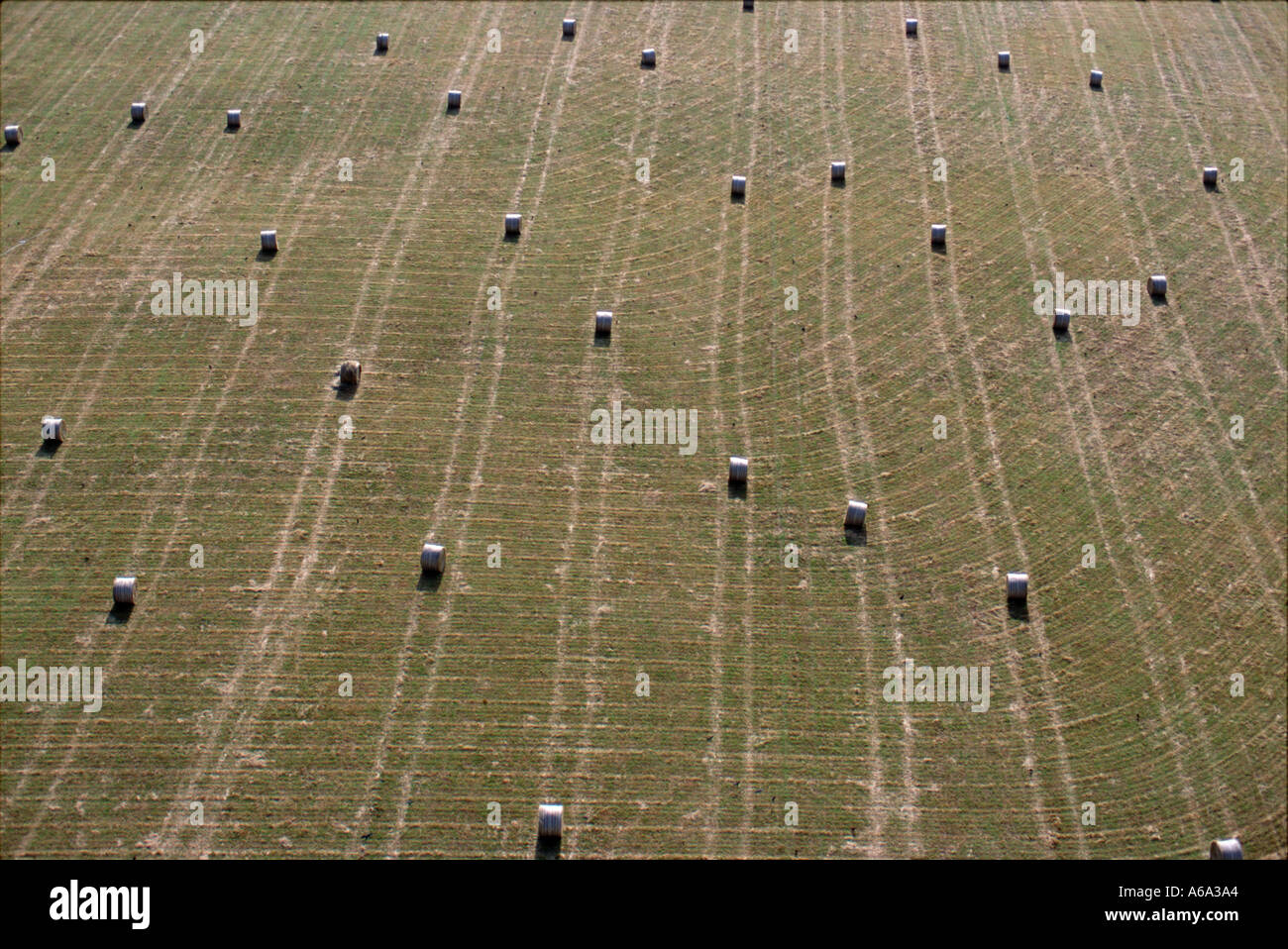 Aerial View of Field of Bales Wiltshire UK Stock Photo - Alamy