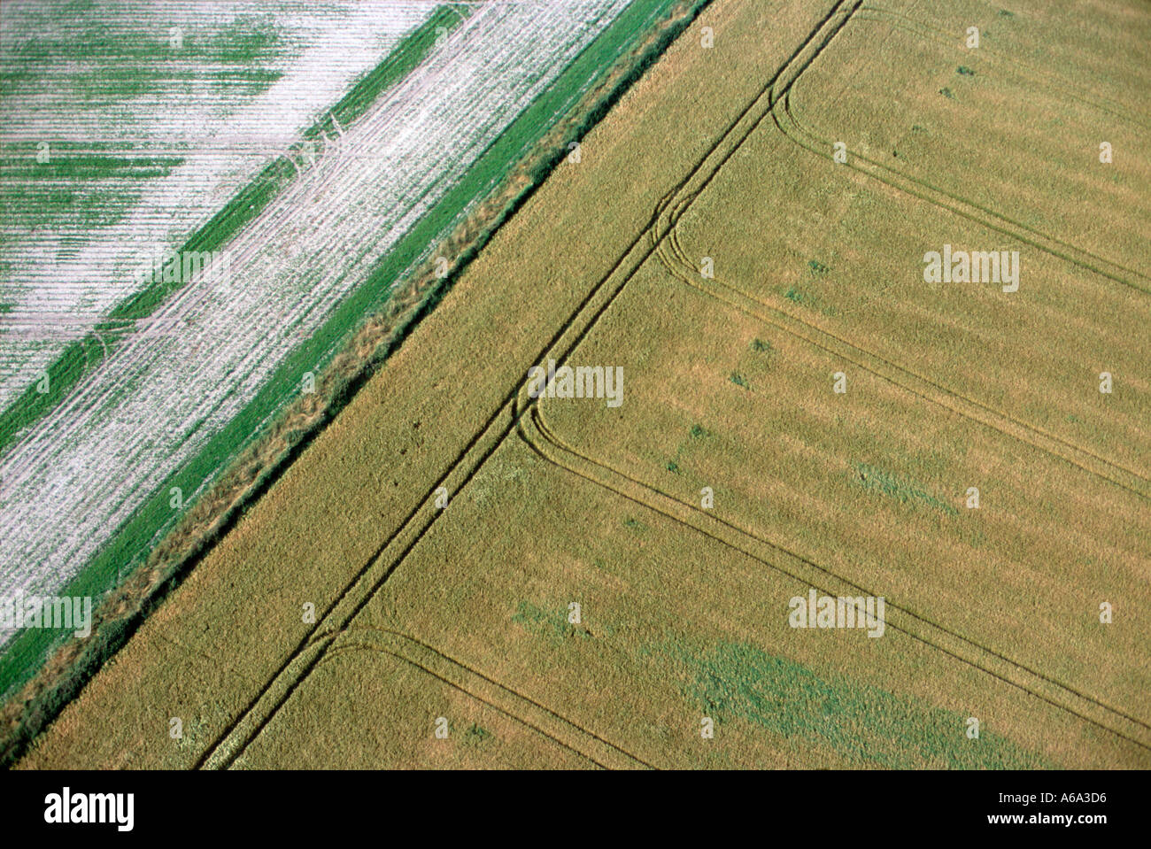 Aerial View of Field Pattern Wiltshire UK Stock Photo - Alamy