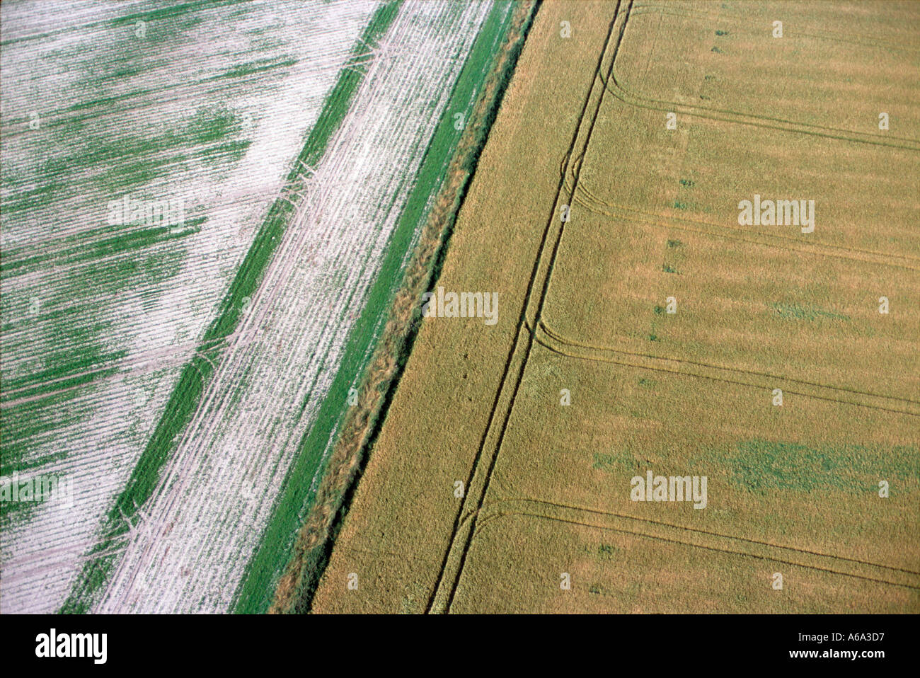 Aerial View of Field Pattern Wiltshire UK Stock Photo - Alamy