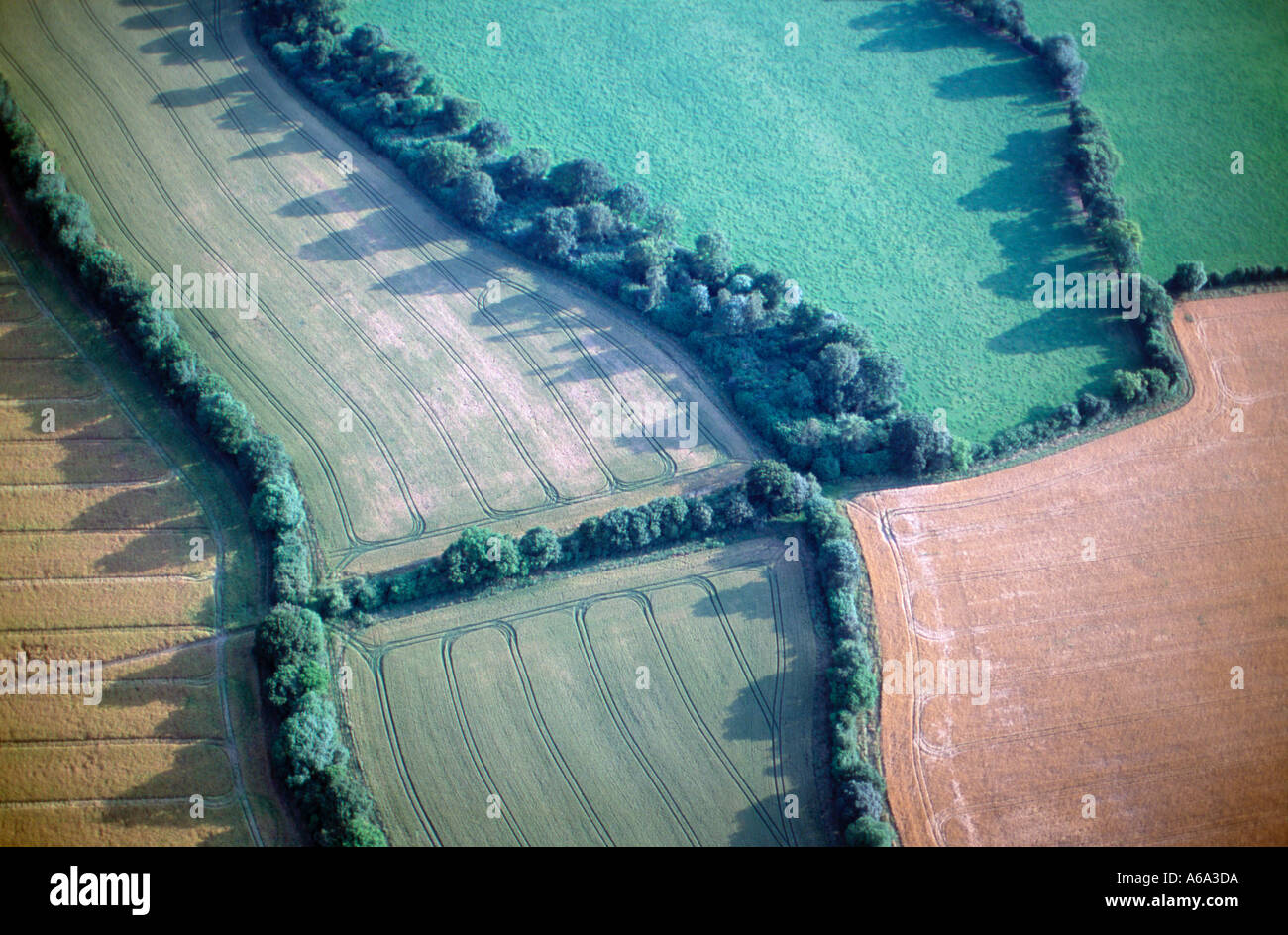 Aerial View of Field Pattern and Hedgerows Wiltshire UK Stock Photo - Alamy