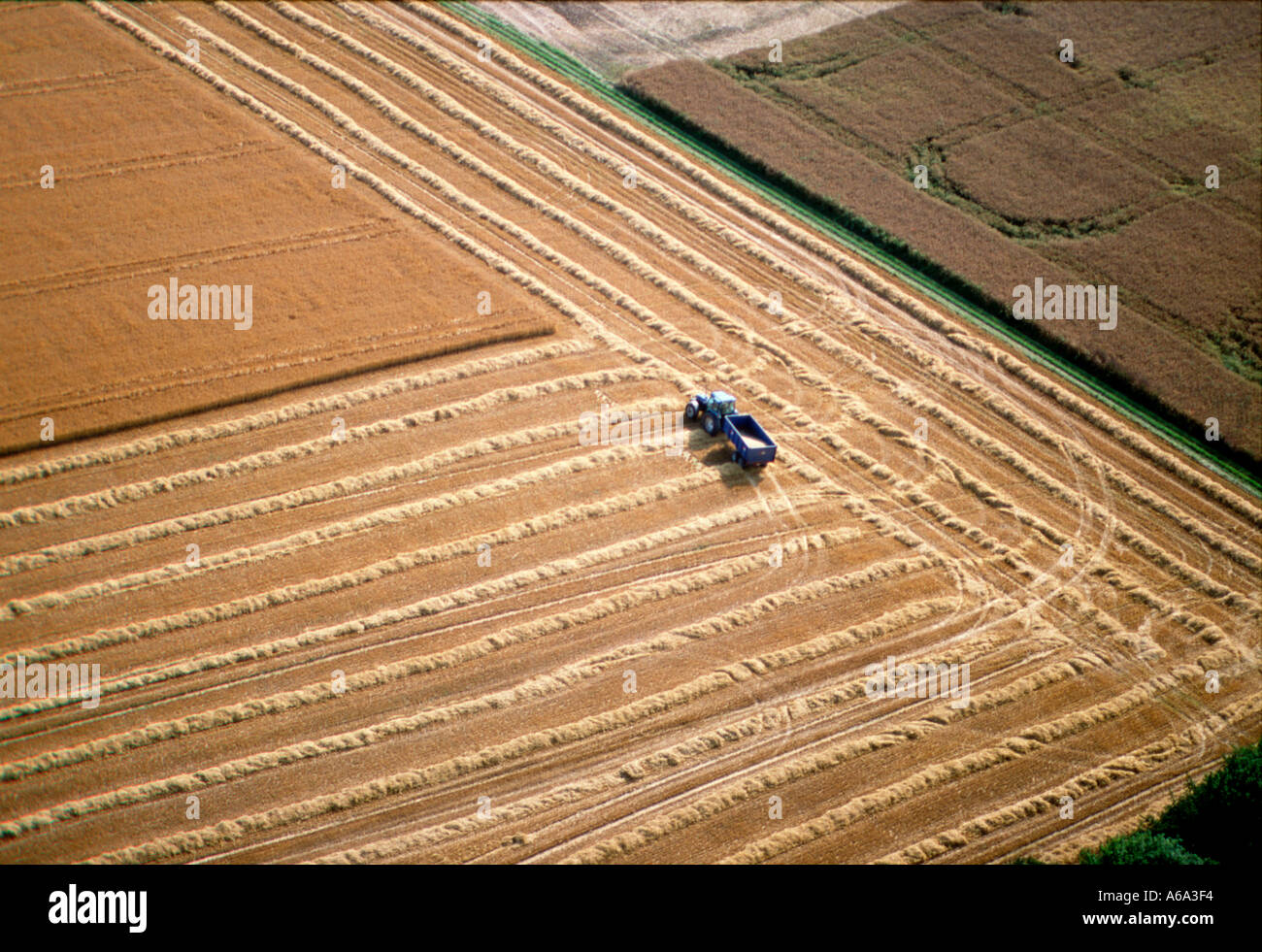 Aerial View of Tractor in Wiltshire Field UK Stock Photo - Alamy