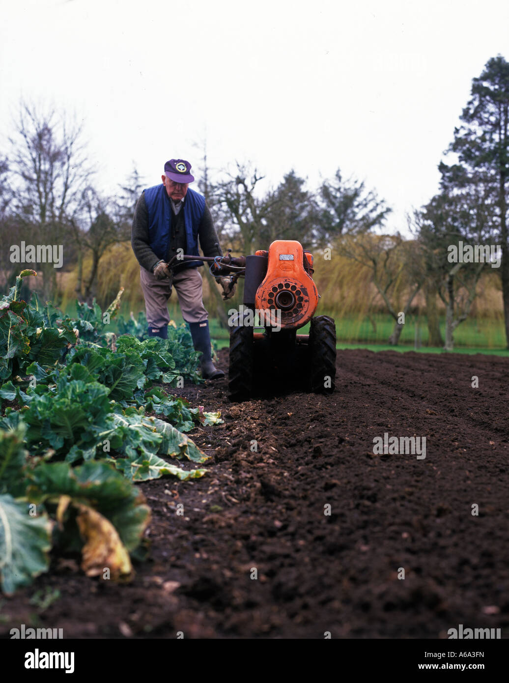 Rotavating garden hi-res stock photography and images - Alamy
