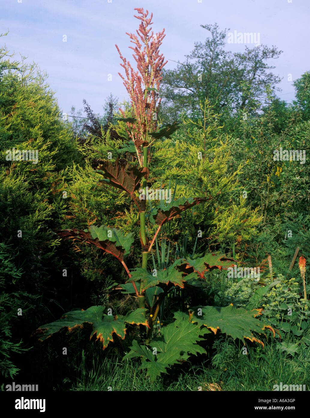 Rhuem hi-res stock photography and images - Alamy