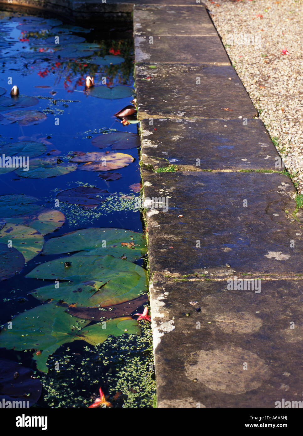 STONE EDGING ROUND A FORMAL POND Stock Photo - Alamy