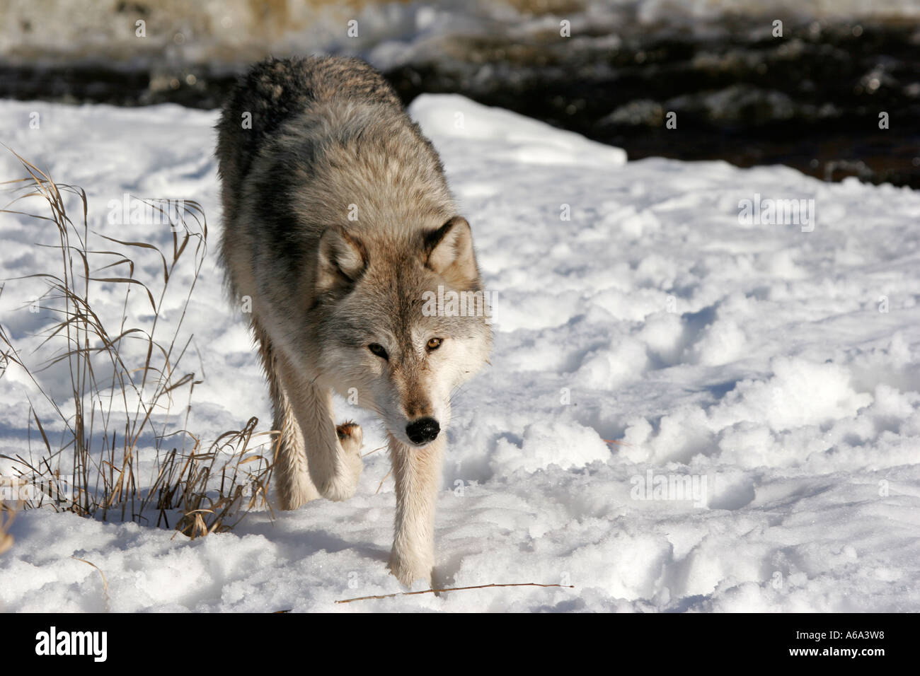 Northwoods waterfall hi-res stock photography and images - Alamy