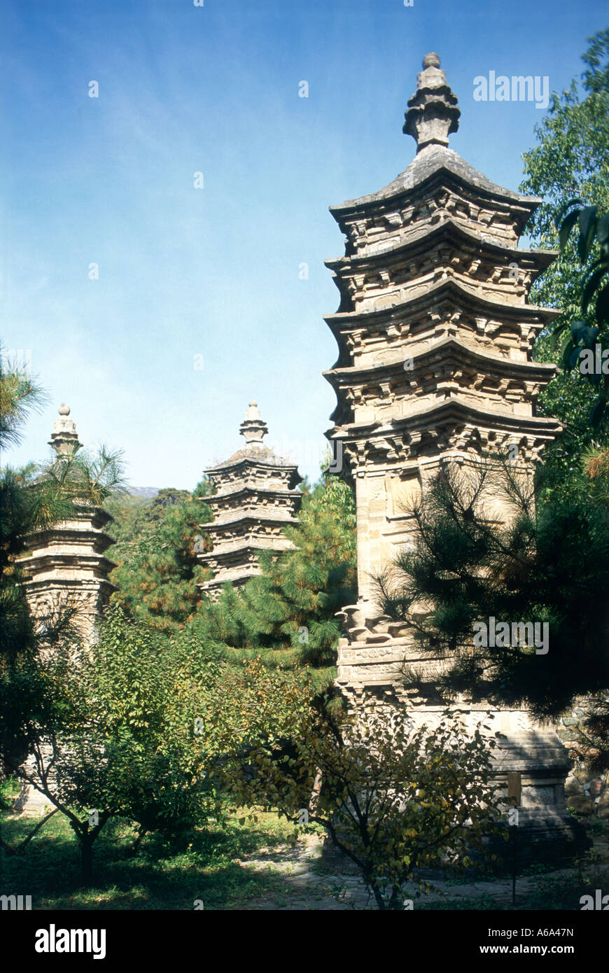 Stupa forest temple beijing hi-res stock photography and images - Alamy