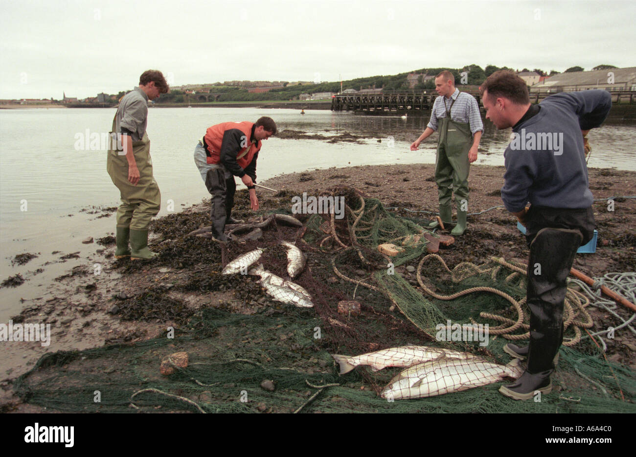 English tweed hi-res stock photography and images - Alamy