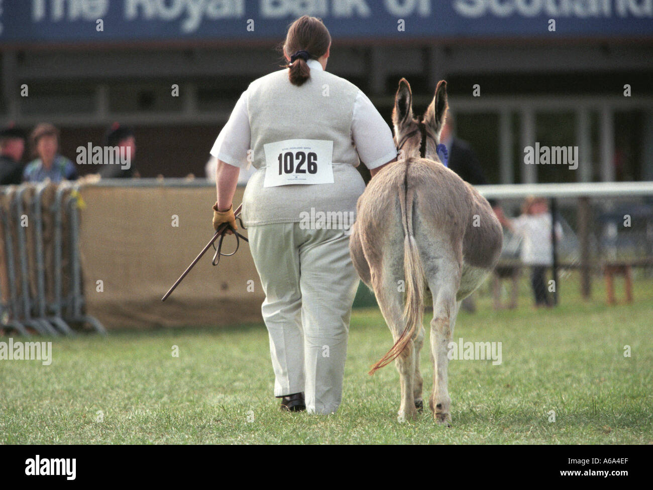 Royal Highland Agricultural Show Edinburgh Scotland Donkey Judging ...