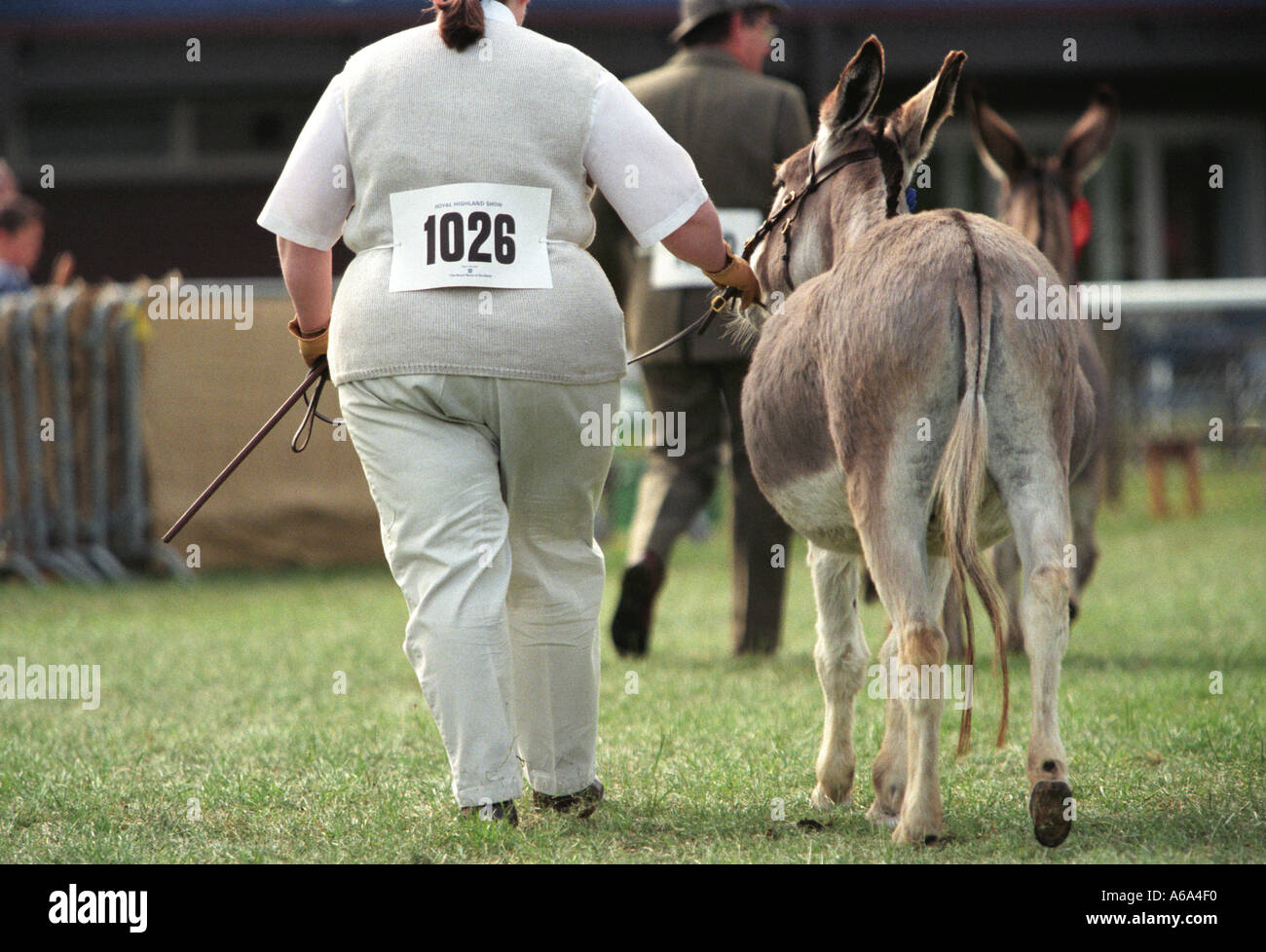 Royal Highland Agricultural Show Edinburgh Scotland Donkey Judging ...