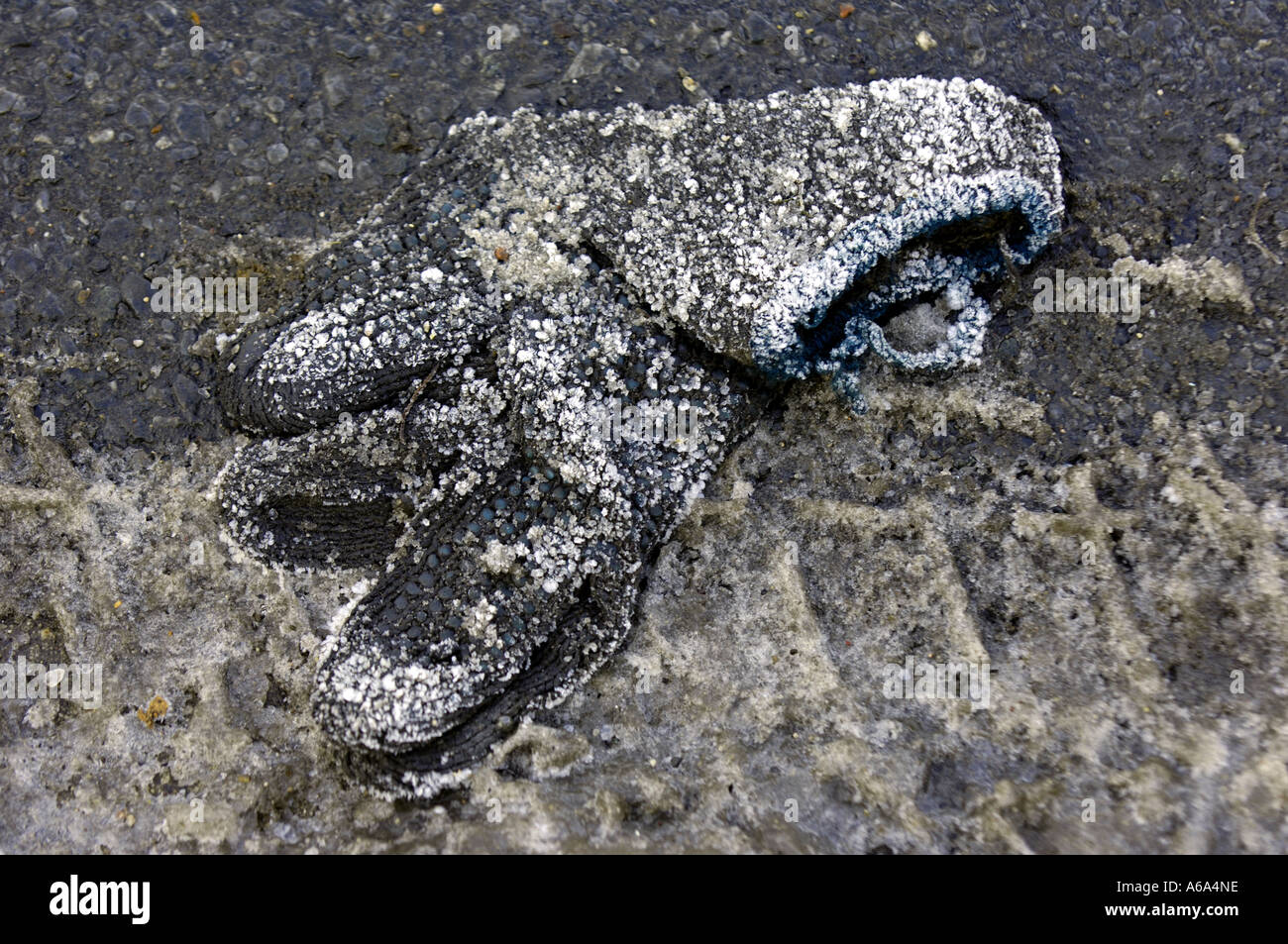 sludge winter snow old day daylight cold wintry floor waste lost ground ...