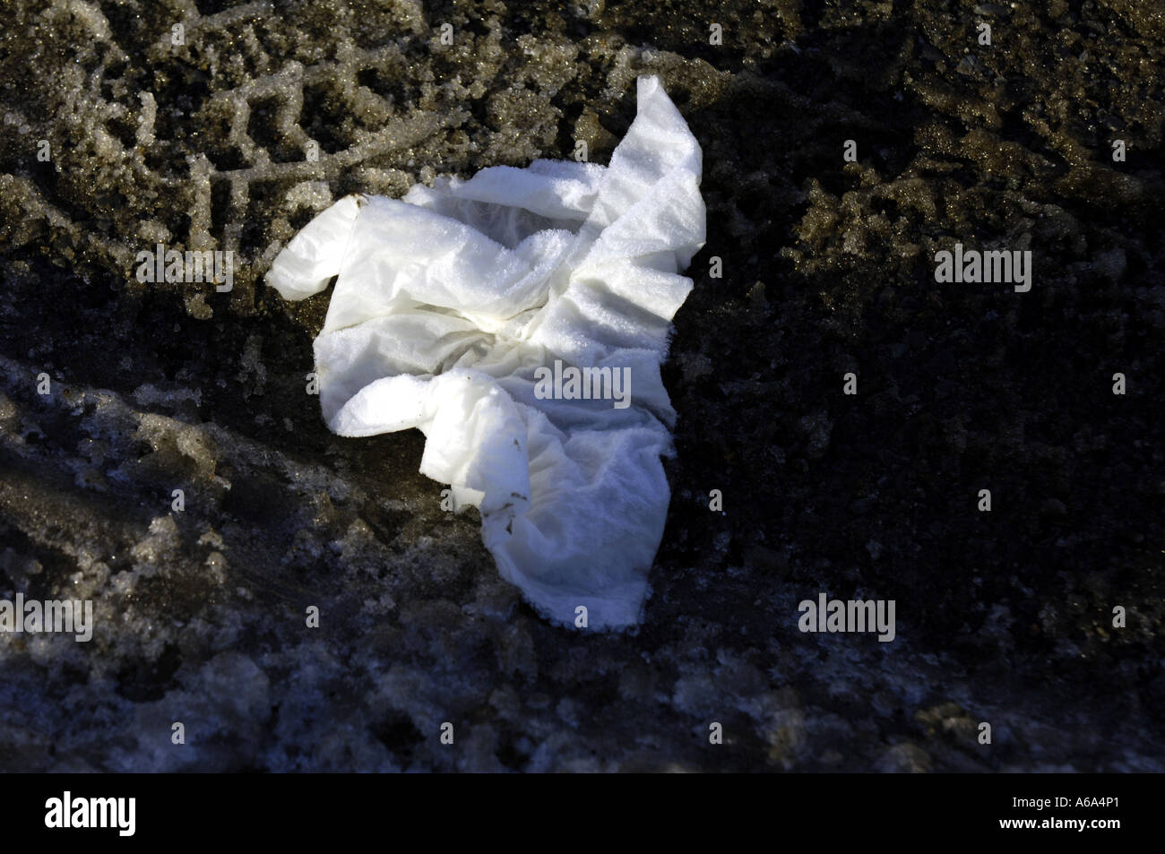sludge winter snow old day daylight cold wintry floor waste lost tissue ...