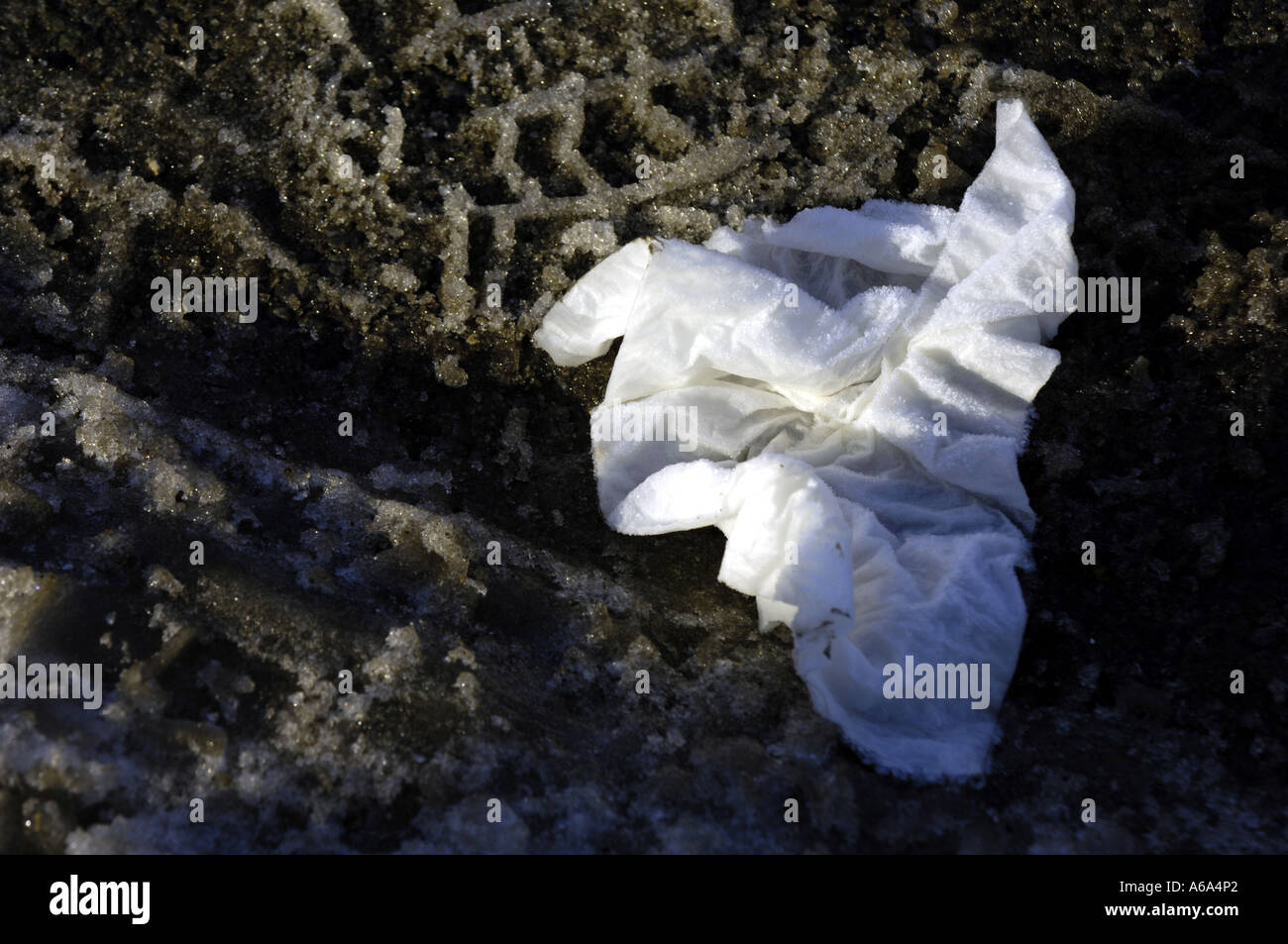 sludge winter snow old day daylight cold wintry floor waste lost tissue ...