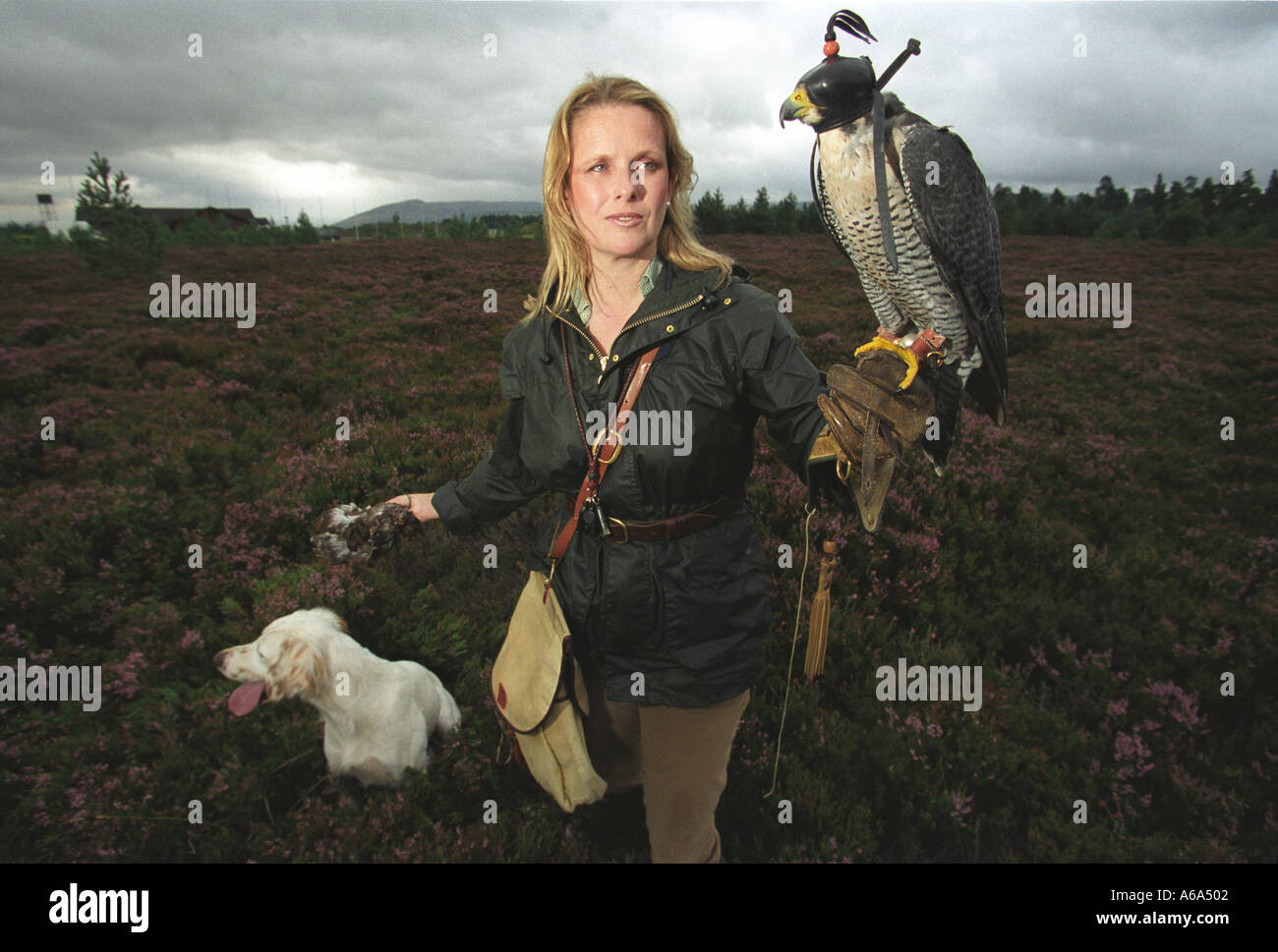 Emma Ford of British School of Falconry at Gleneagles Stock Photo - Alamy