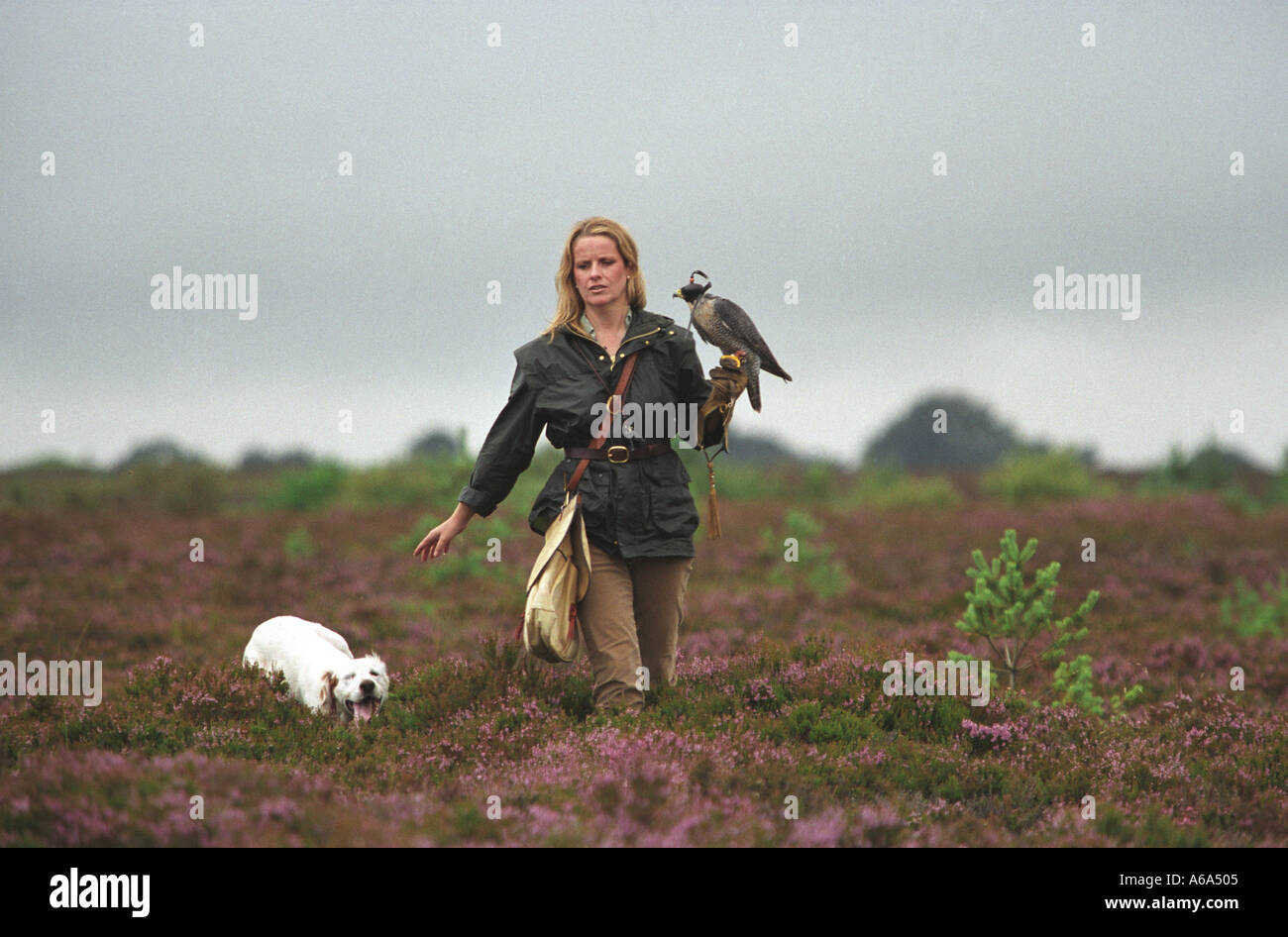 Emma Ford of British School of Falconry at Gleneagles Stock Photo - Alamy