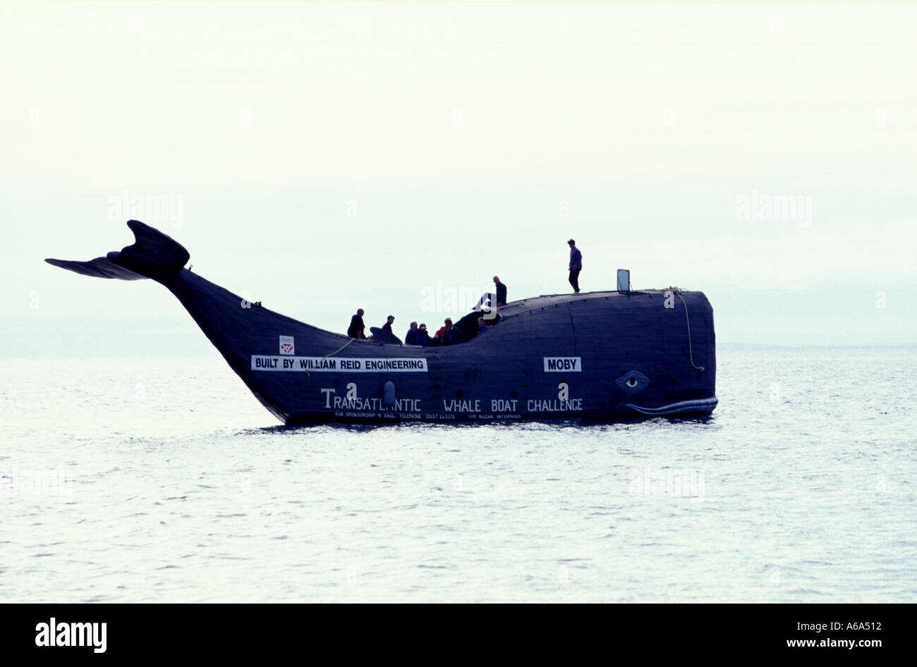 Tom Maclean s Ocean going whale with twin diesels on its maiden trip on ...