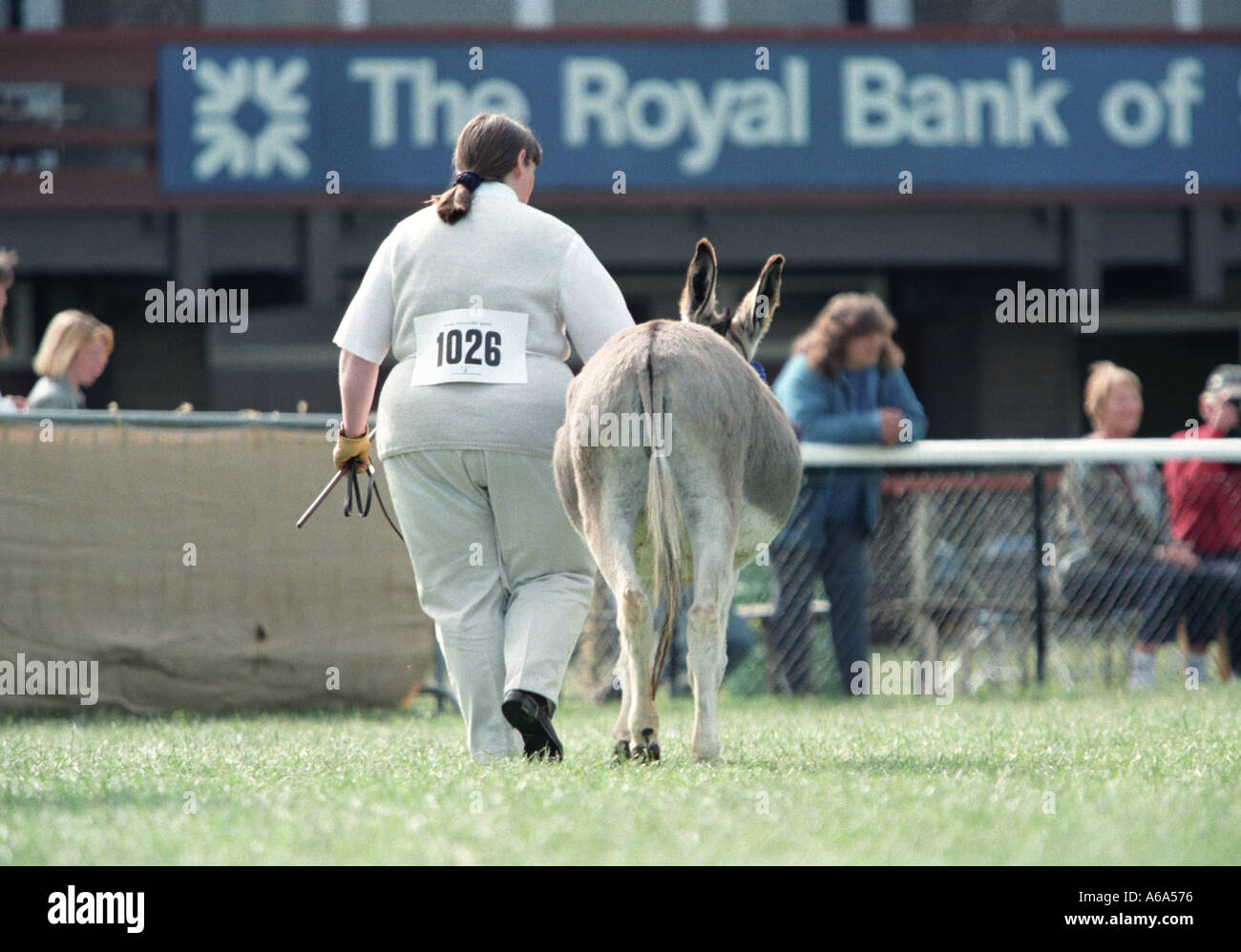 Royal Highland Agricultural Show Edinburgh Scotland Donkey judging ...
