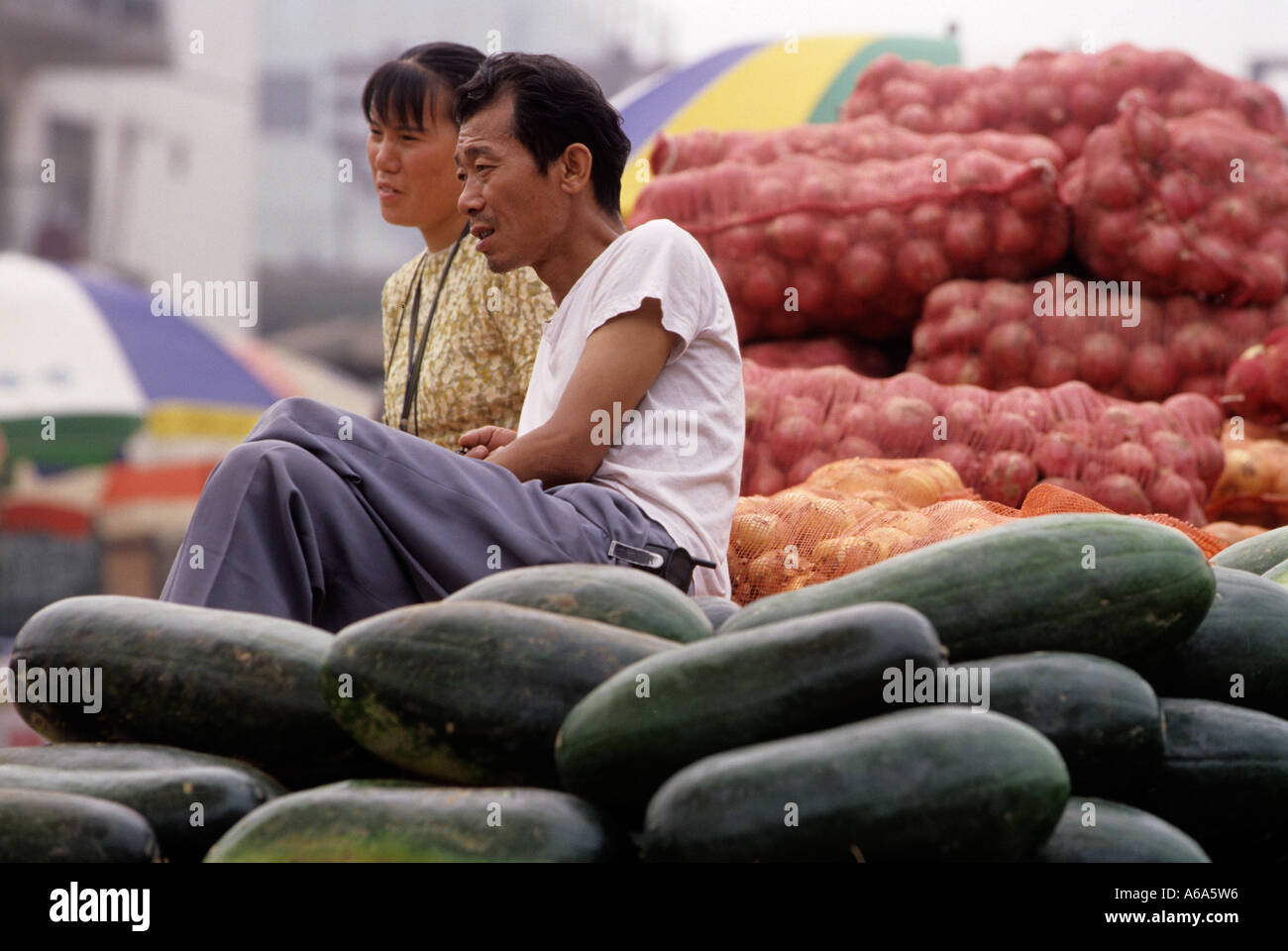 Melon farm china hi-res stock photography and images - Alamy