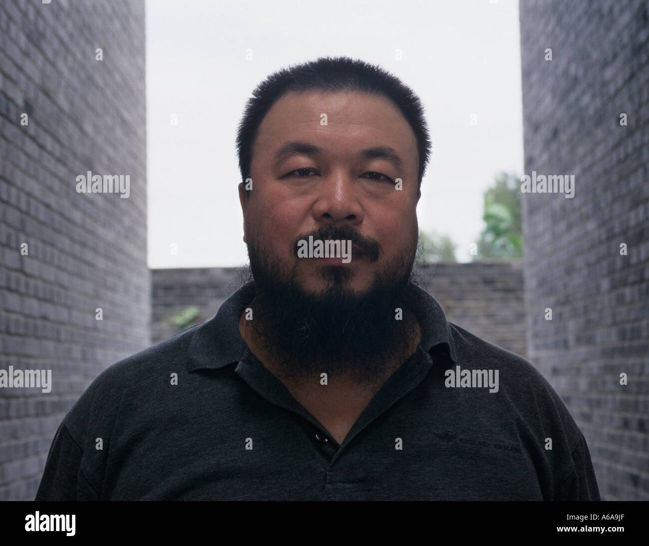 Ai Weiwei Chinese contemporary artist Stock Photo - Alamy
