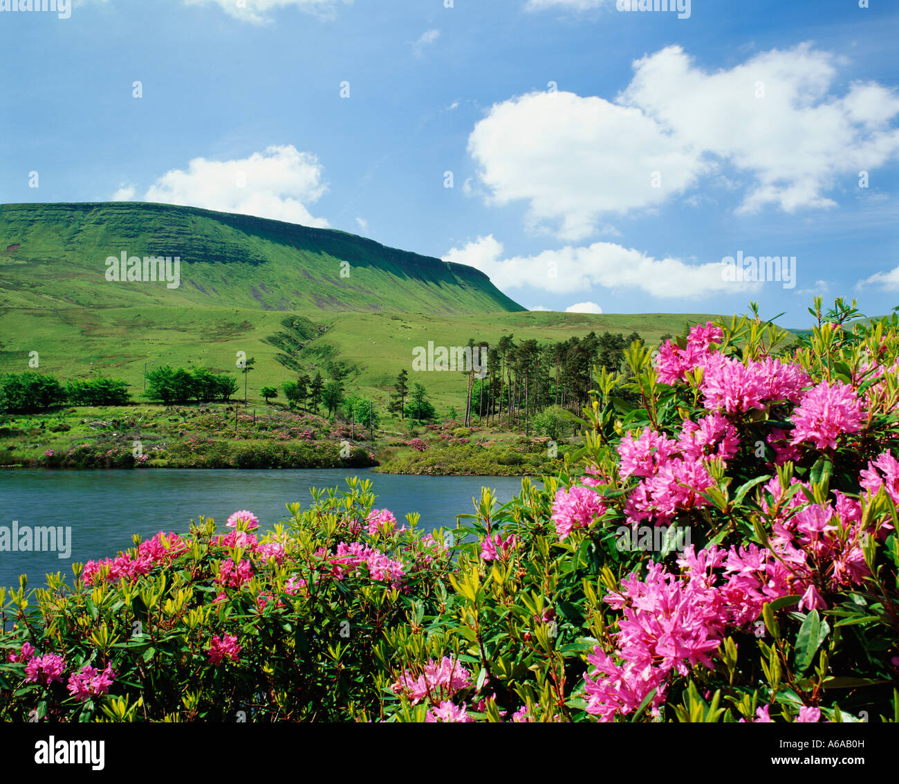 Lower neuadd hi-res stock photography and images - Alamy